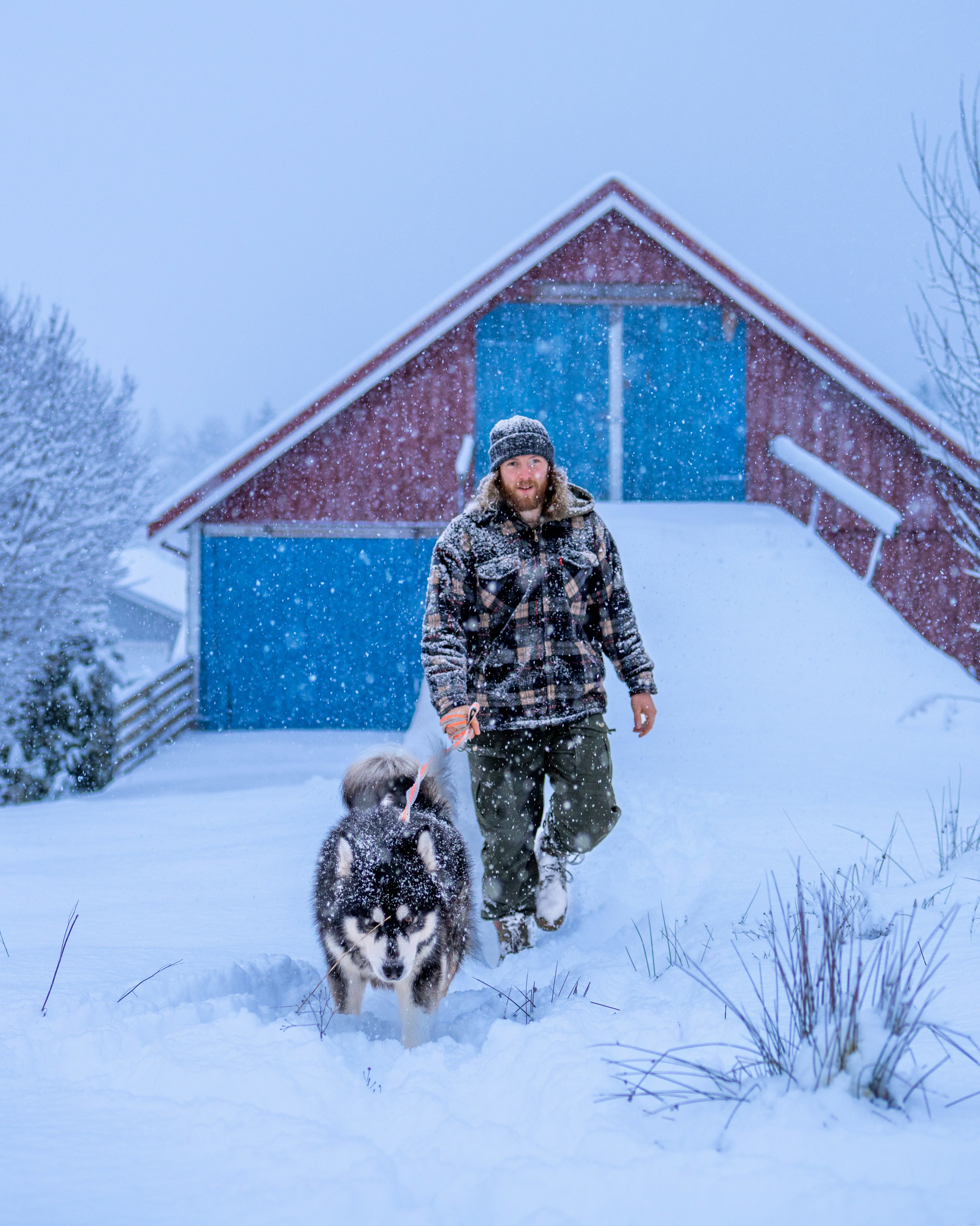 Winter Viking | Man walking husky dog in snowy landscape