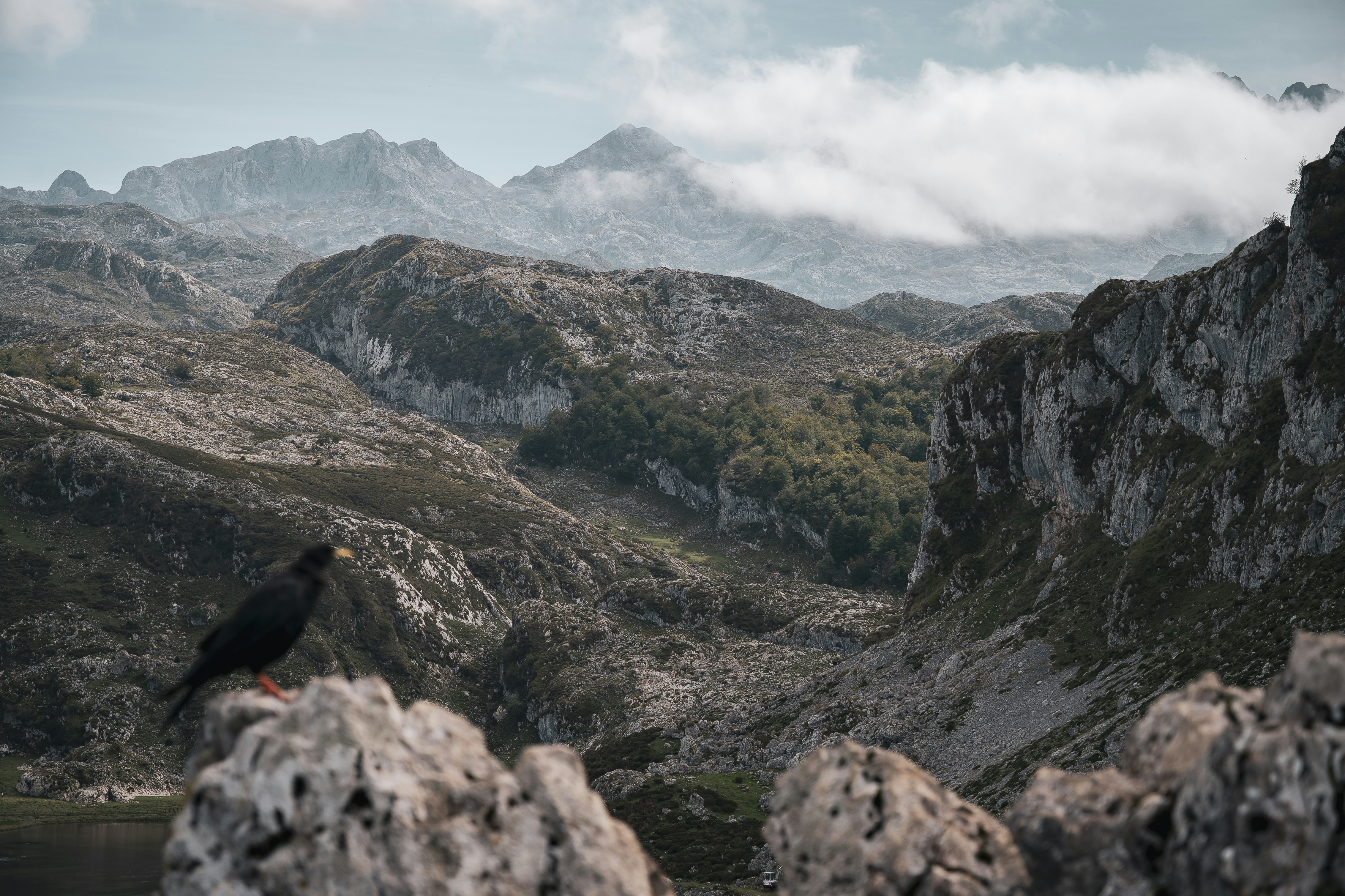 Whispers of the Mountain's Edge