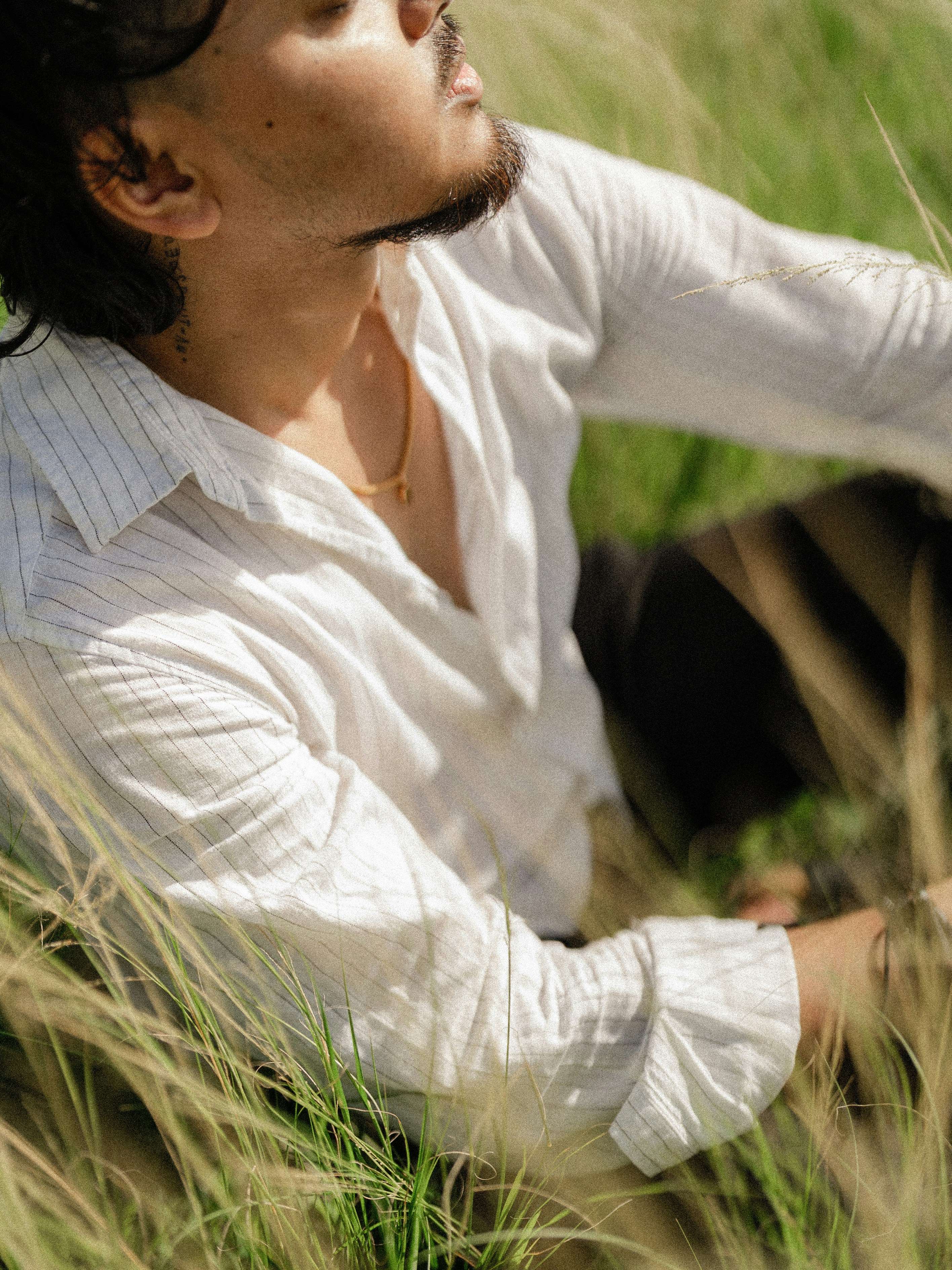 Serenity in Nature's Embrace