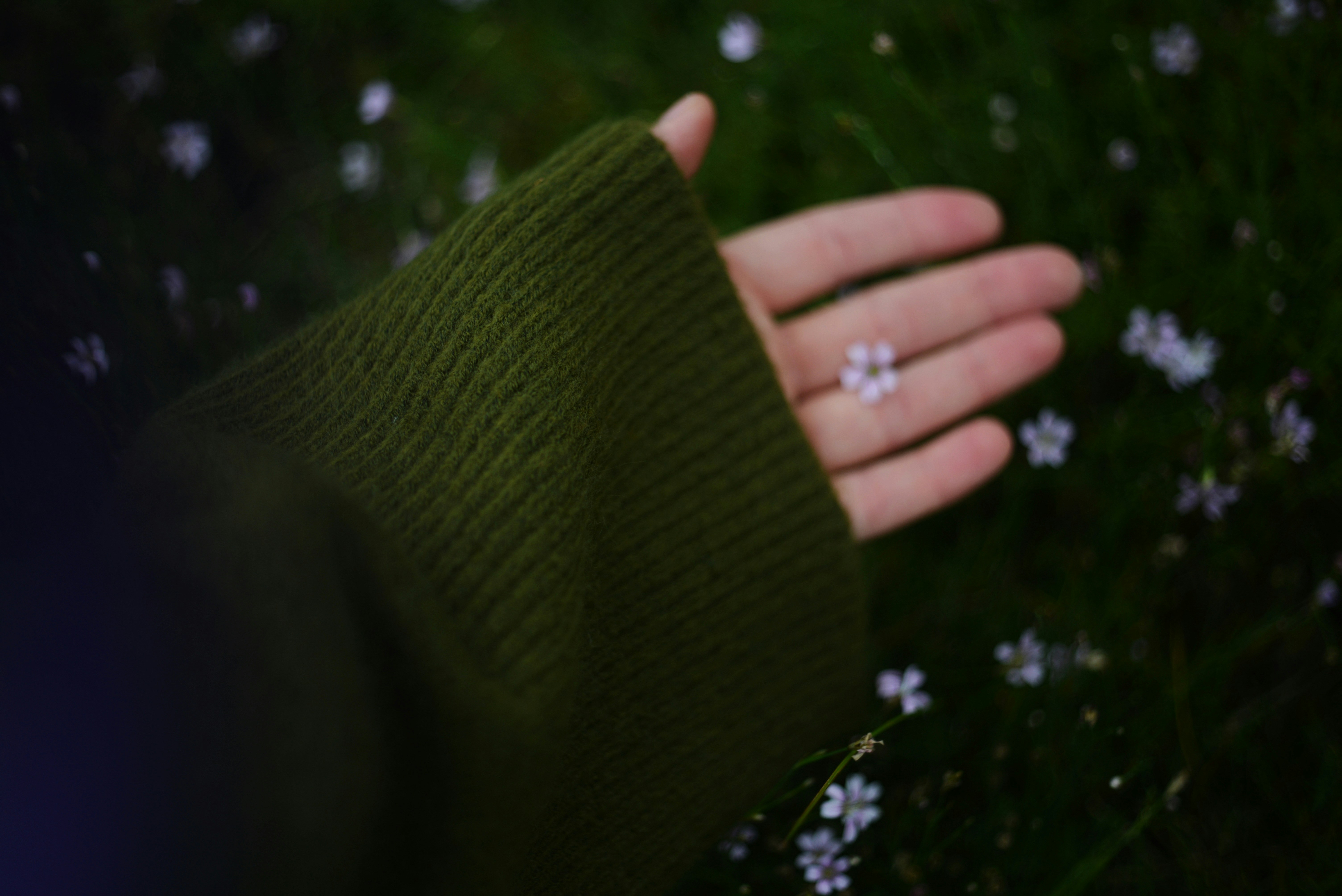 Whispers of Nature: A Gentle Touch