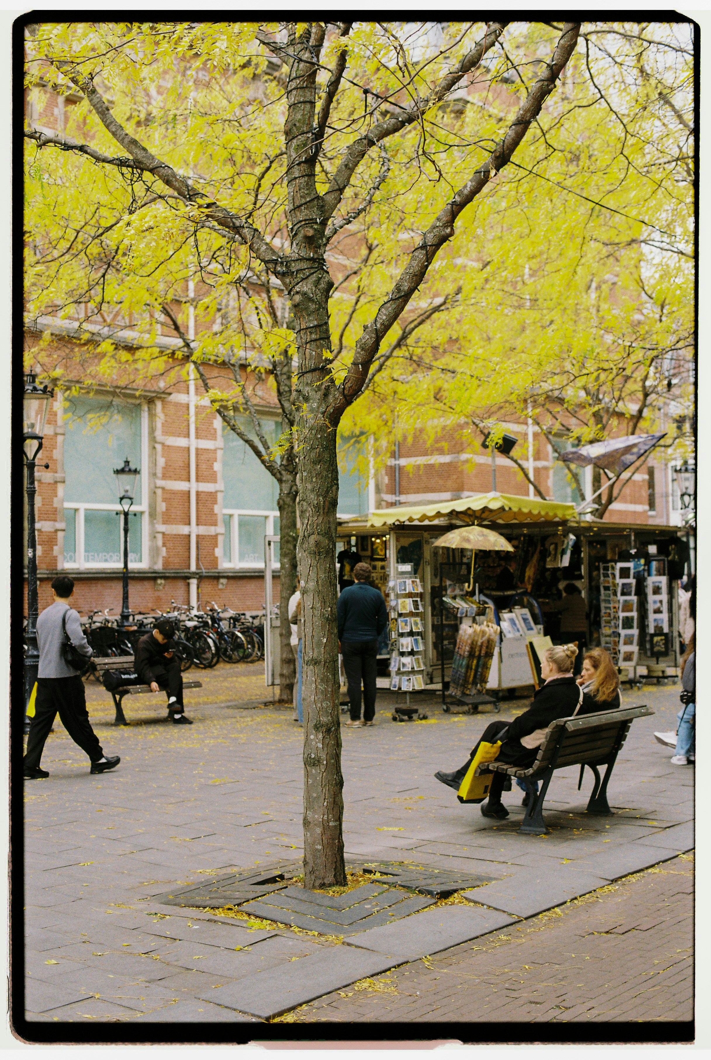 Autumn Whispers in the City