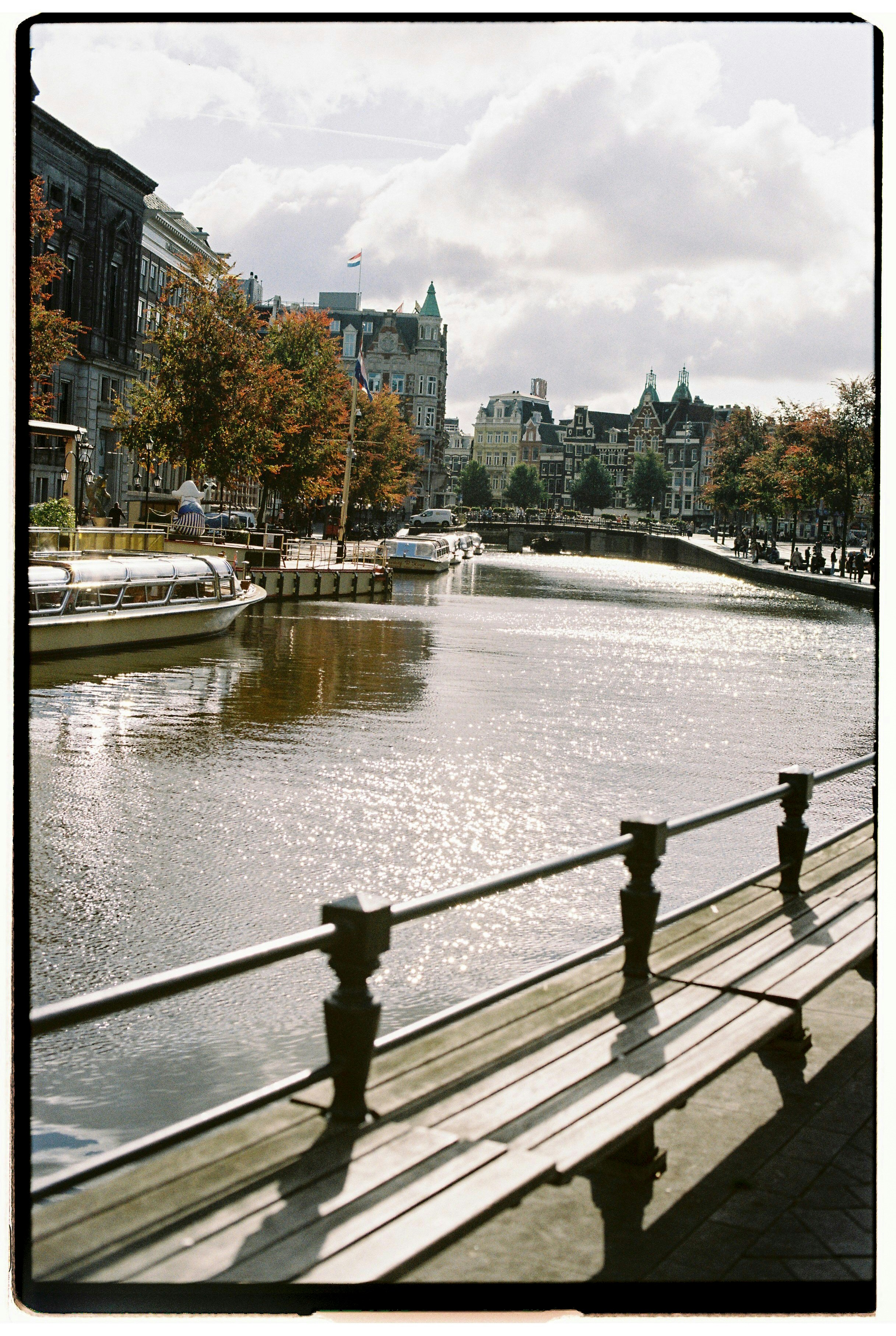 Reflections of Urban Serenity
