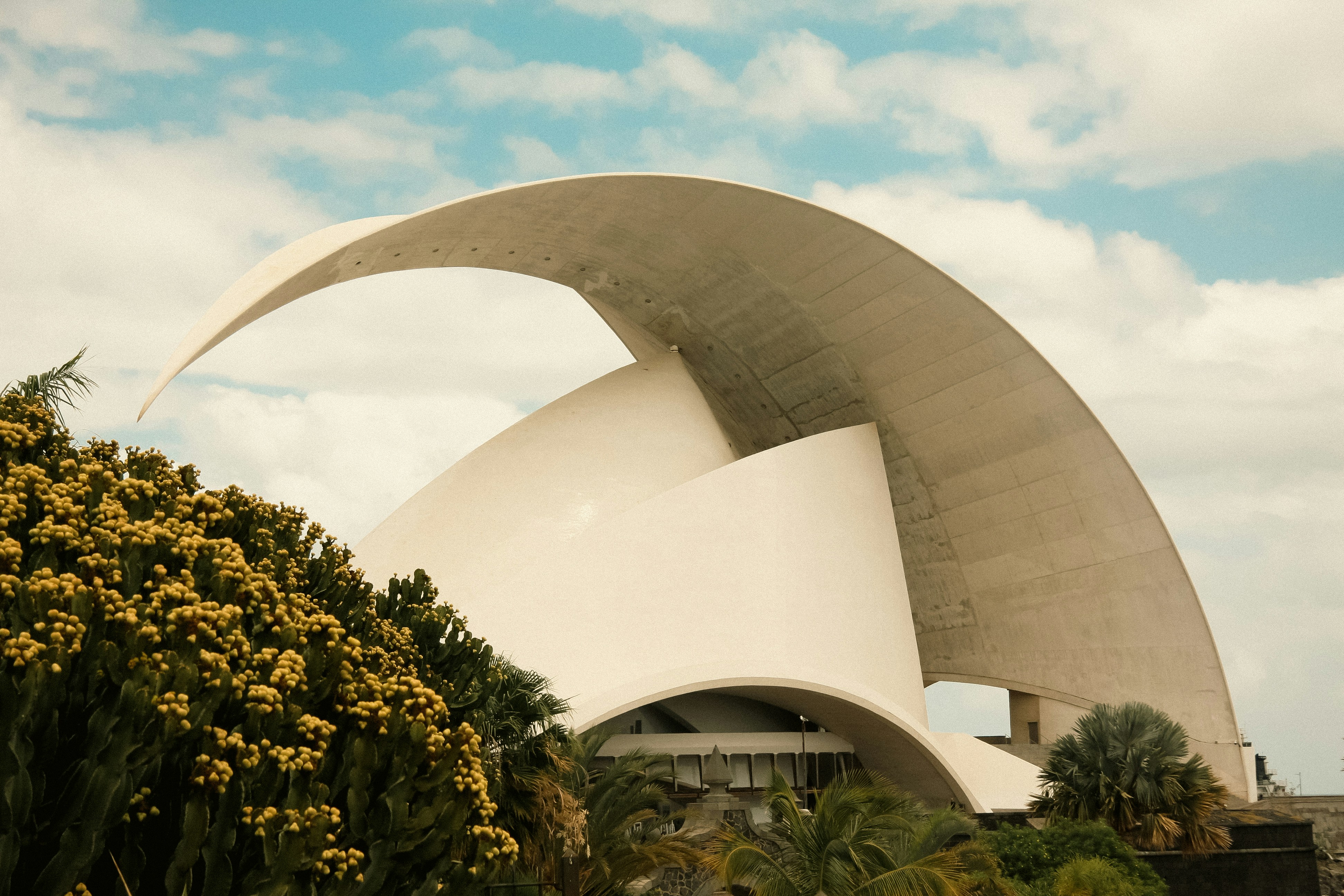 Architectural Elegance in Motion