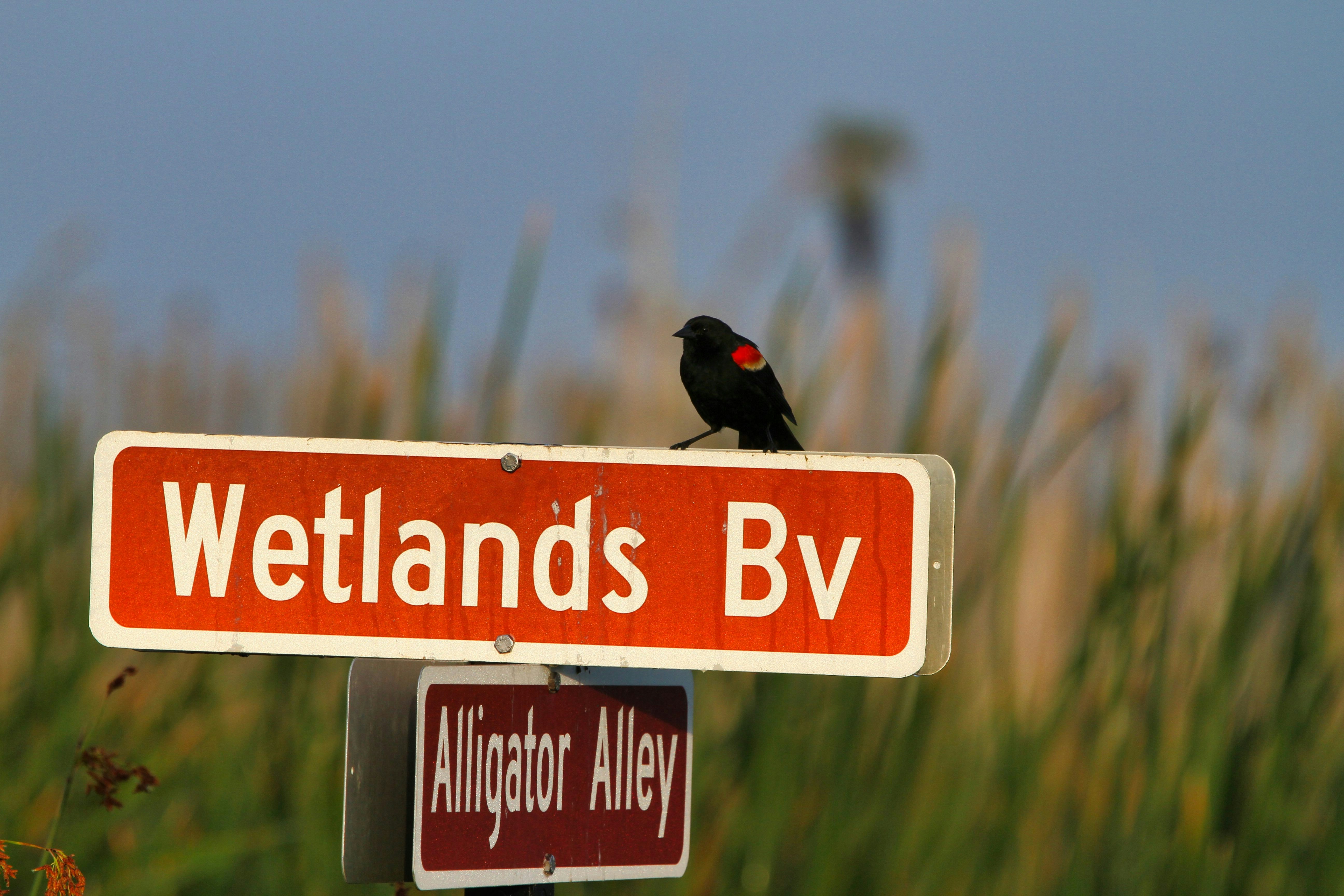 Photo by Marc Snailum with Canon EOS 7D