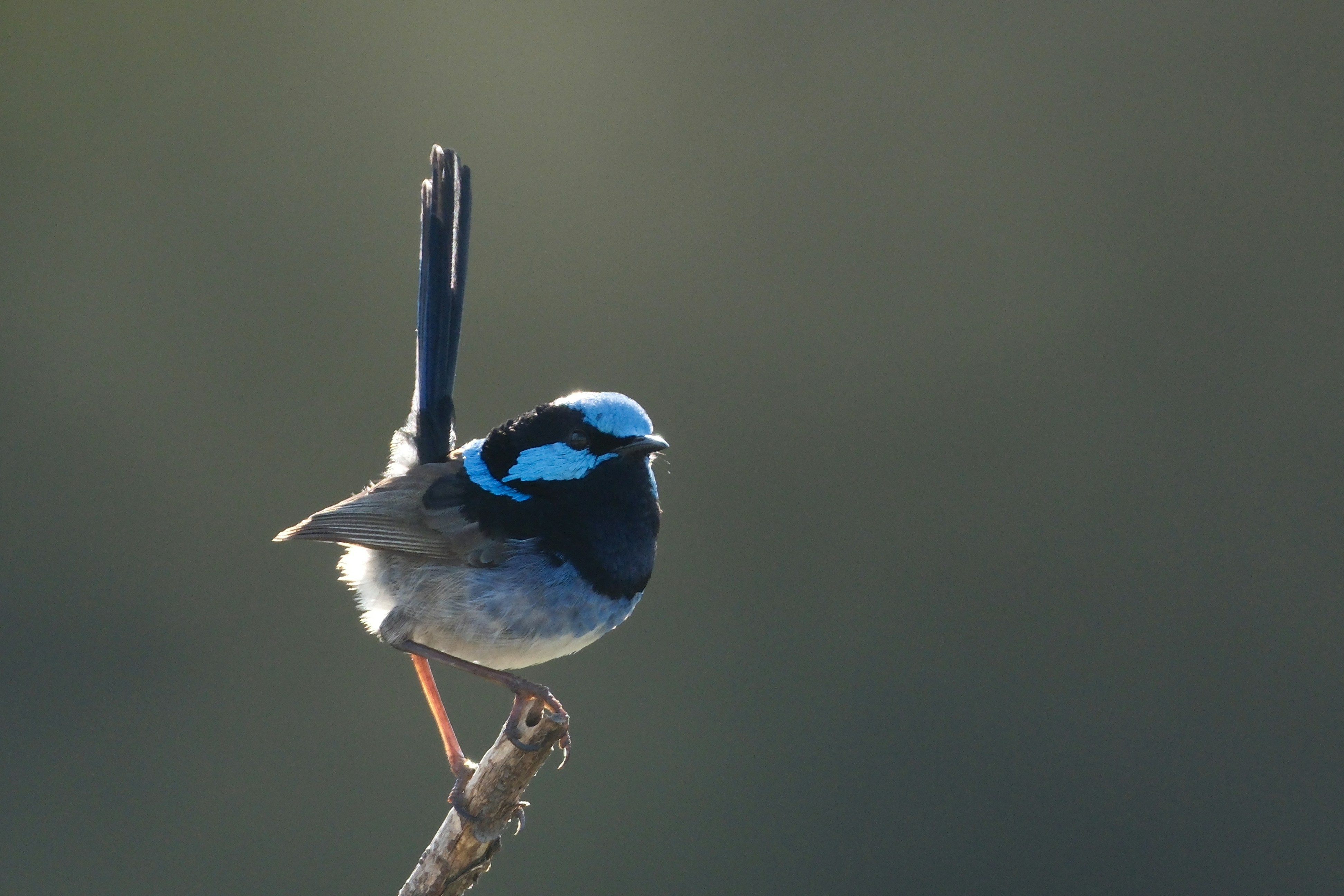 Photo by Walter Coppola with Fujifilm X-H2