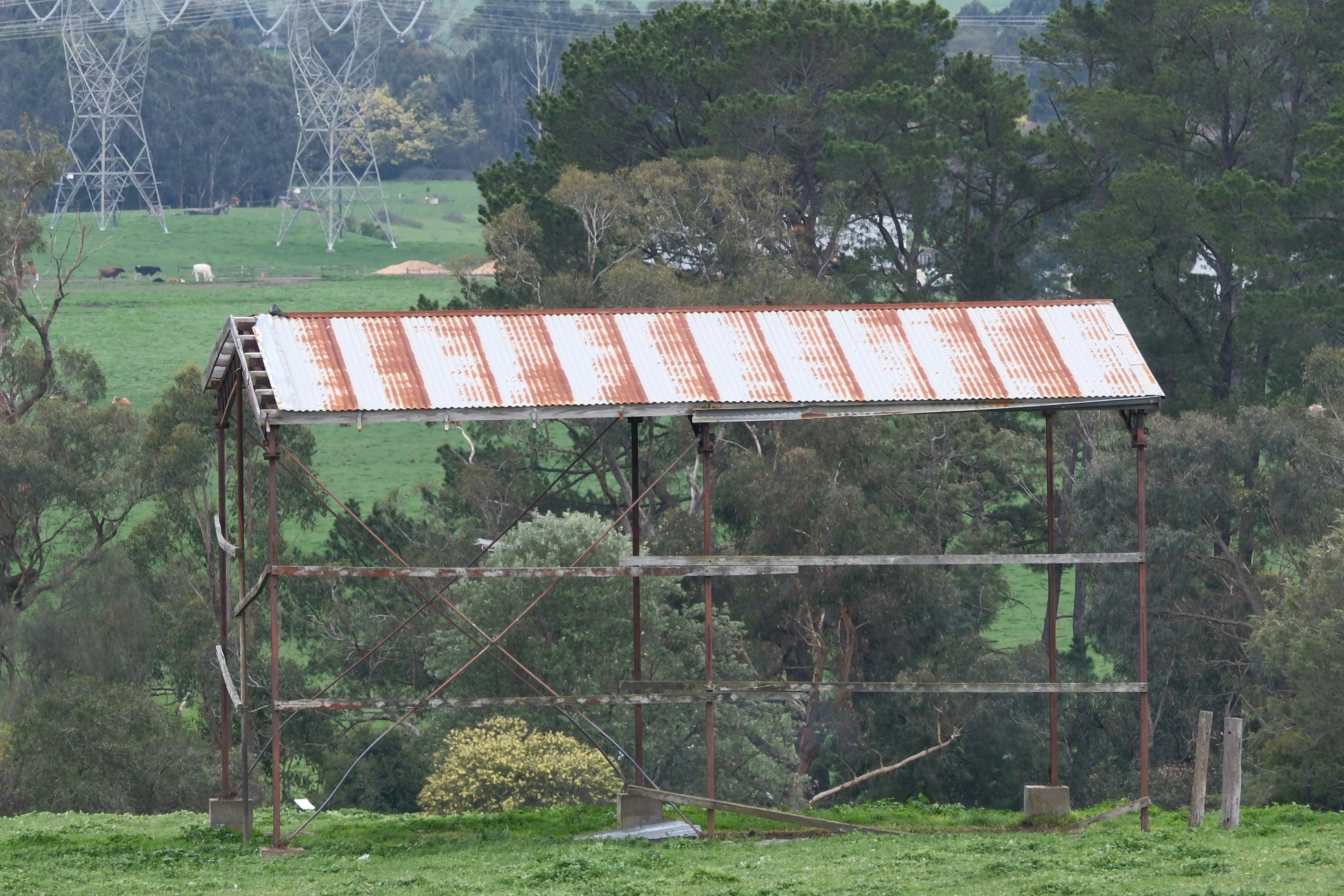 Rustic Echoes of Past Agriculture