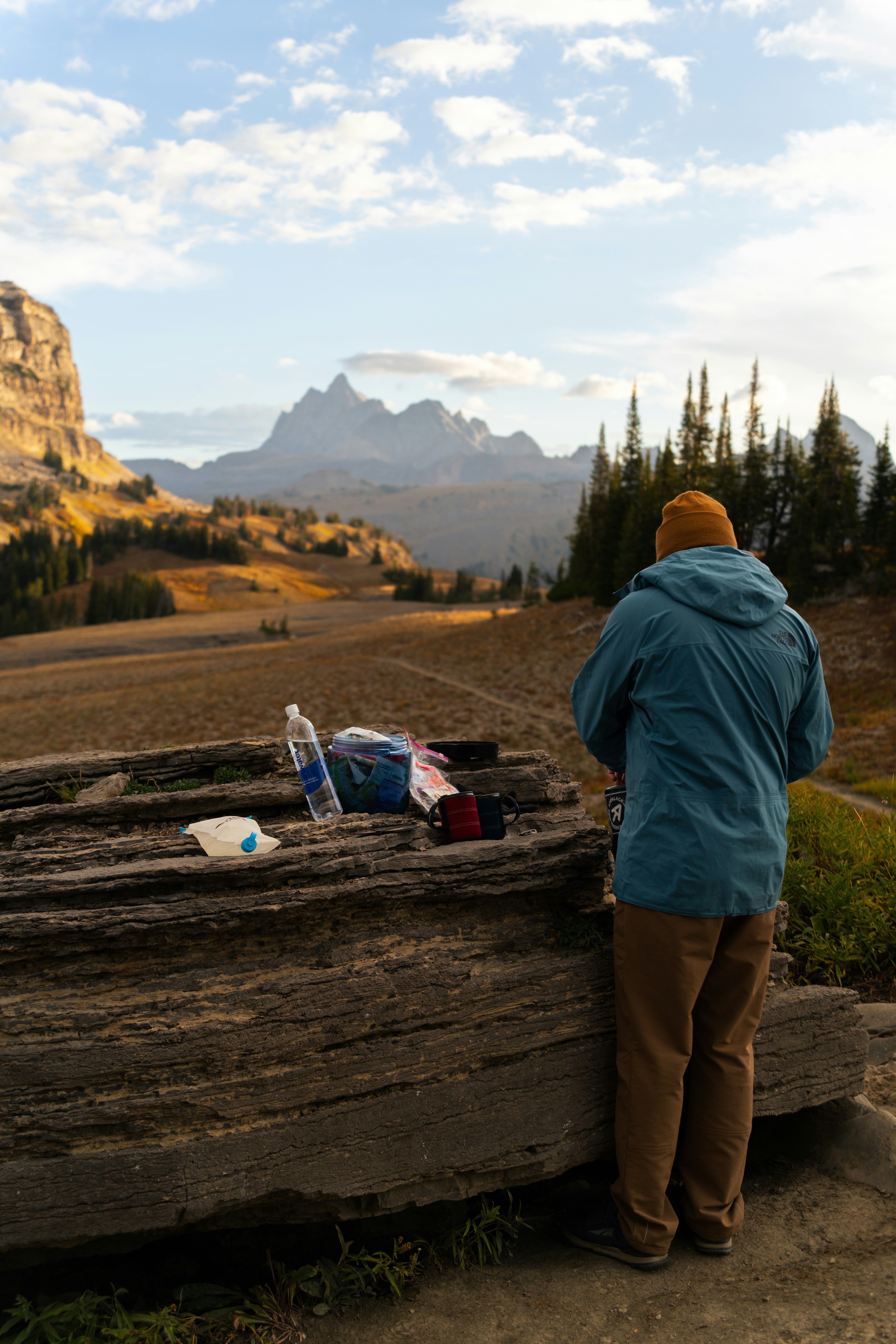 Nature's Retreat: A Moment of Reflection