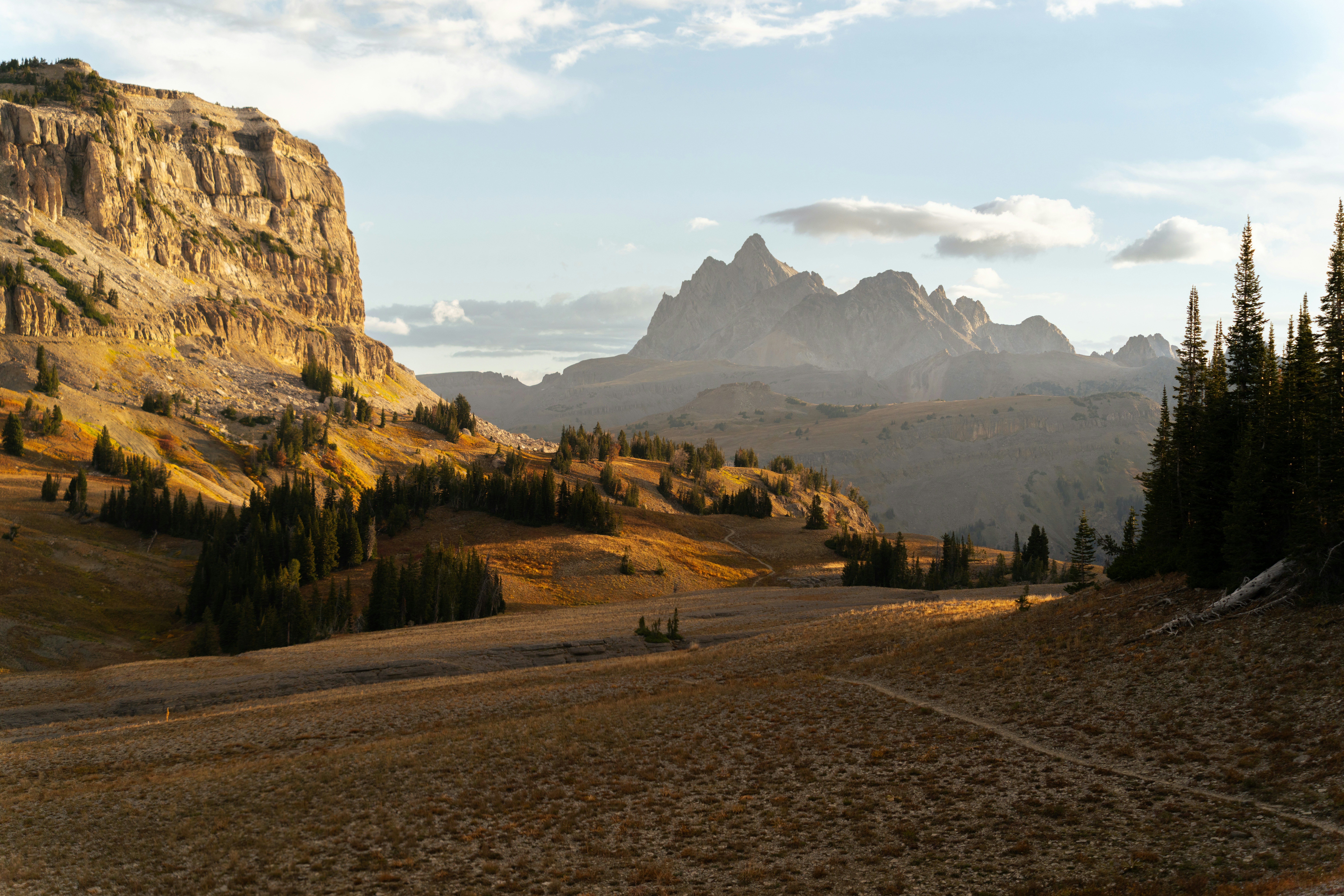 Photo by Alex Moliski with Sony Alpha 7R V