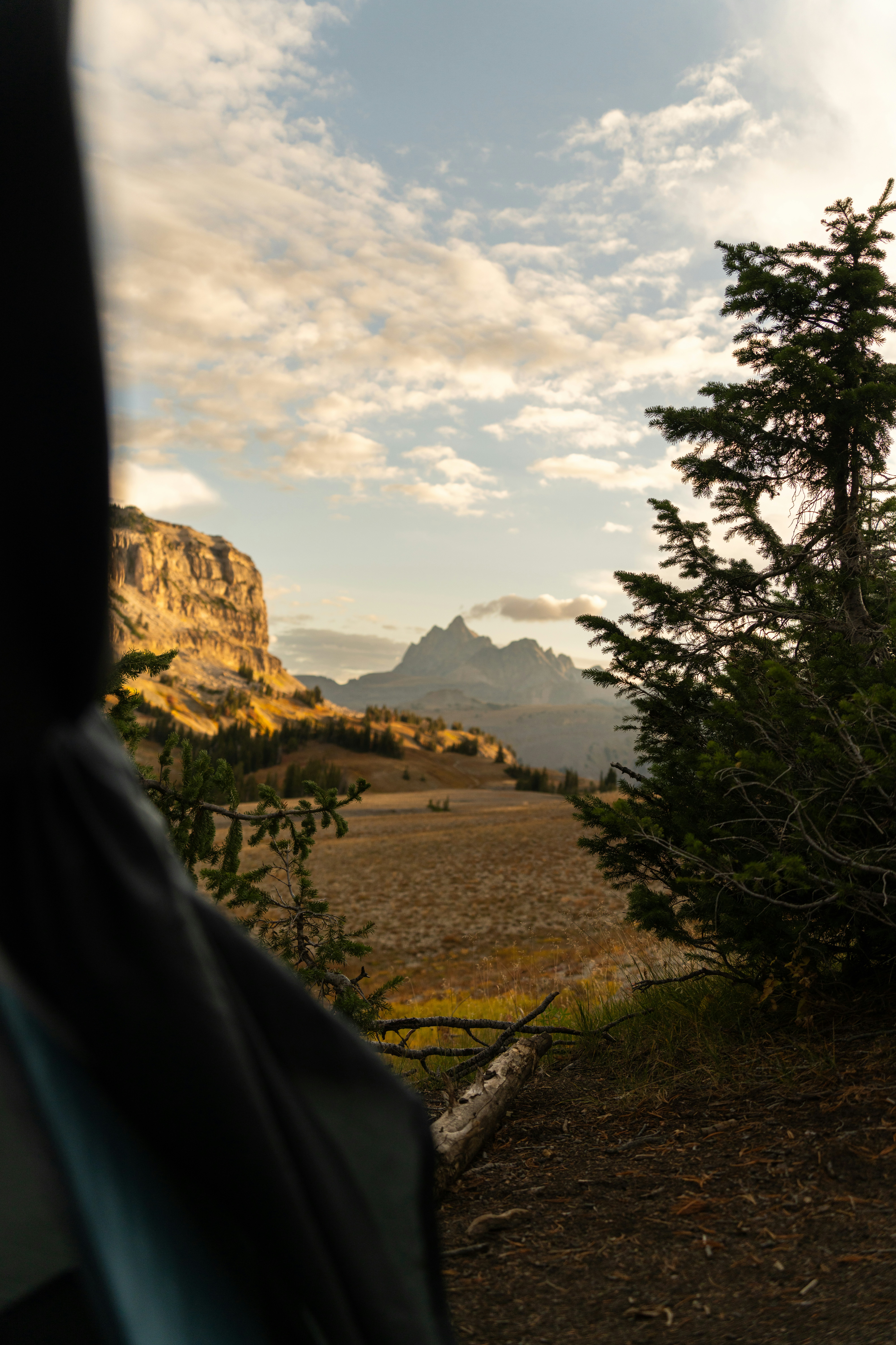 Camp in the Shadow of Lone Pines at Golden Hour