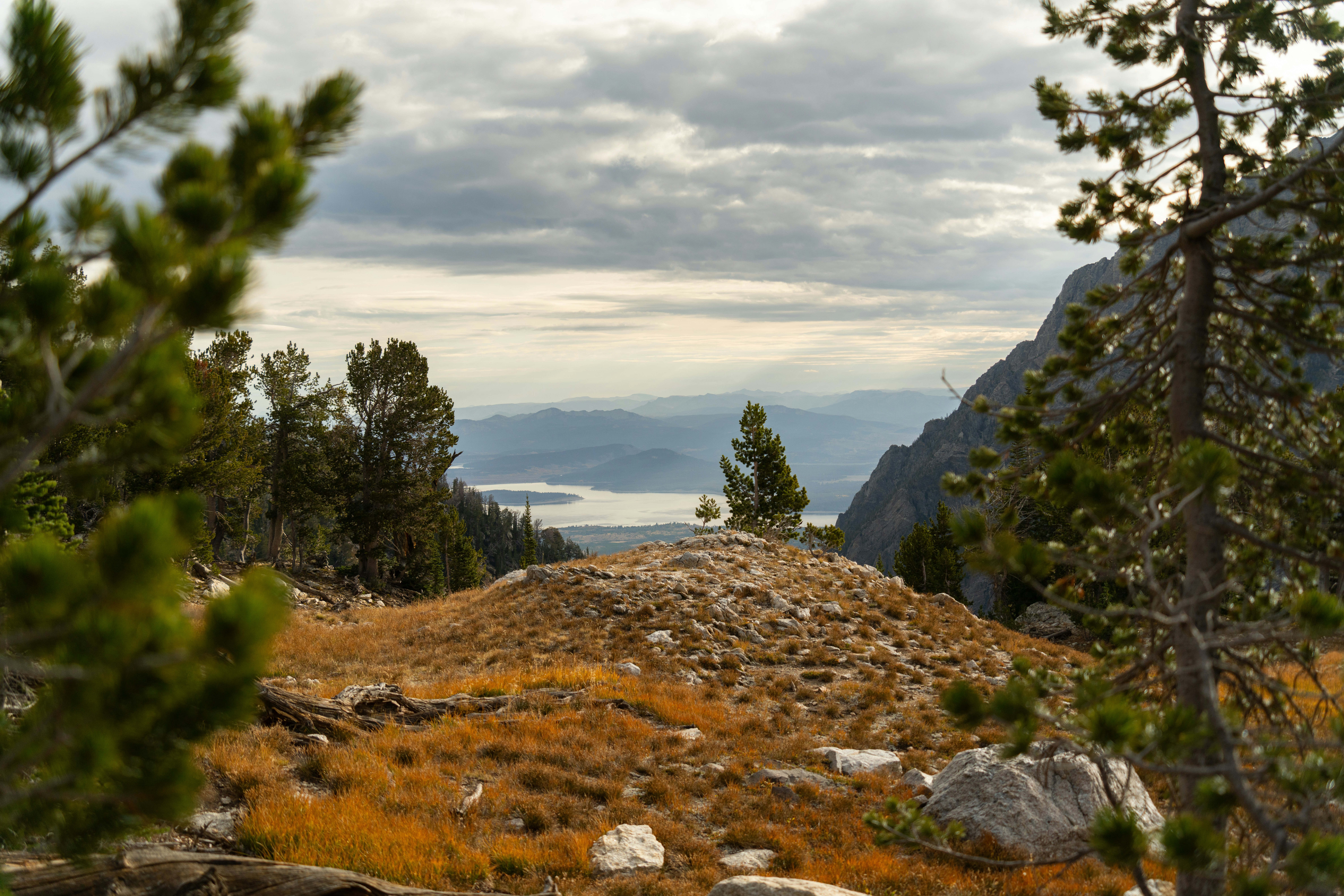 Whispers of the Wilderness: A Serene Mountain Vista