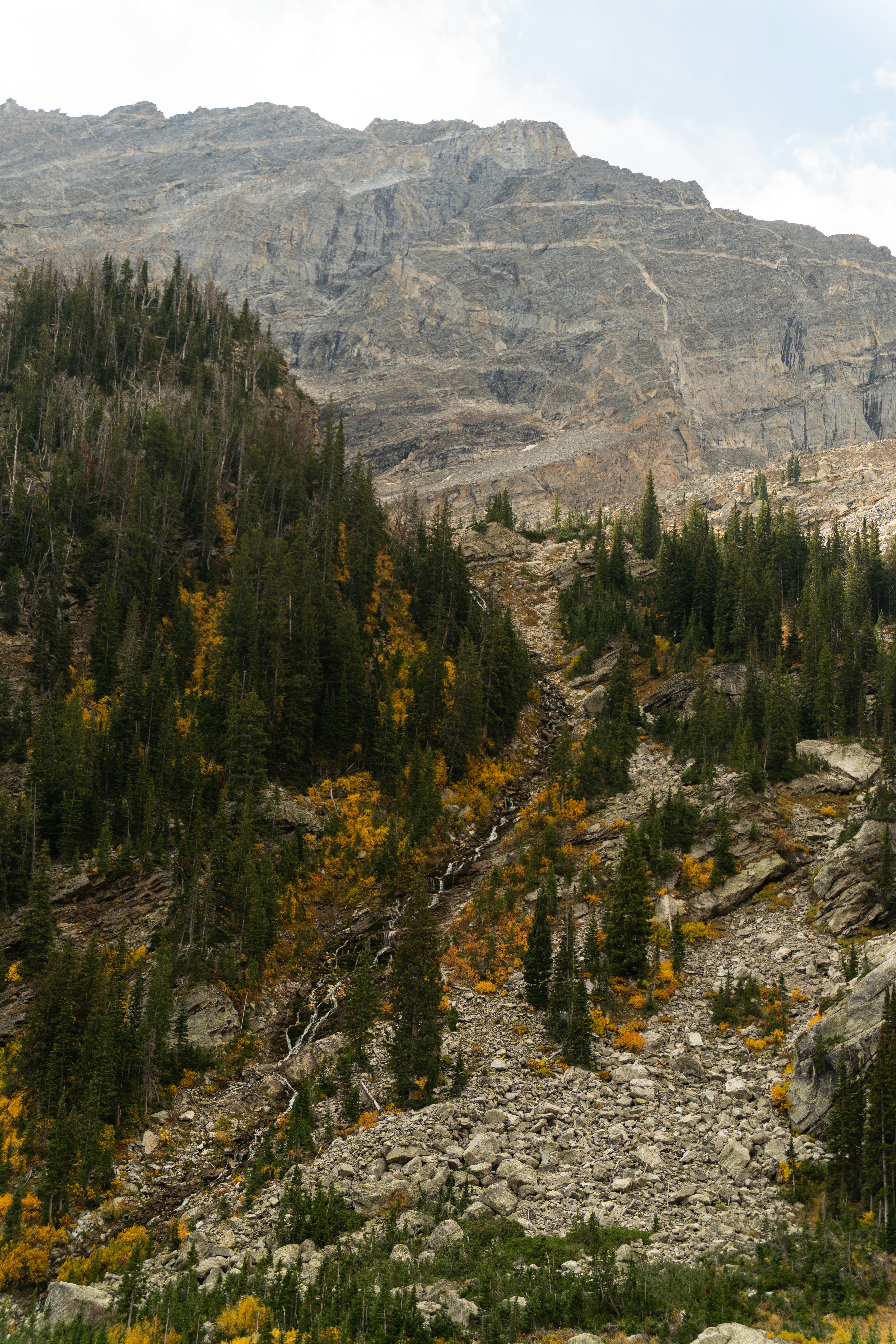Nature's Mosaic: The Tapestry of Autumn and Stone