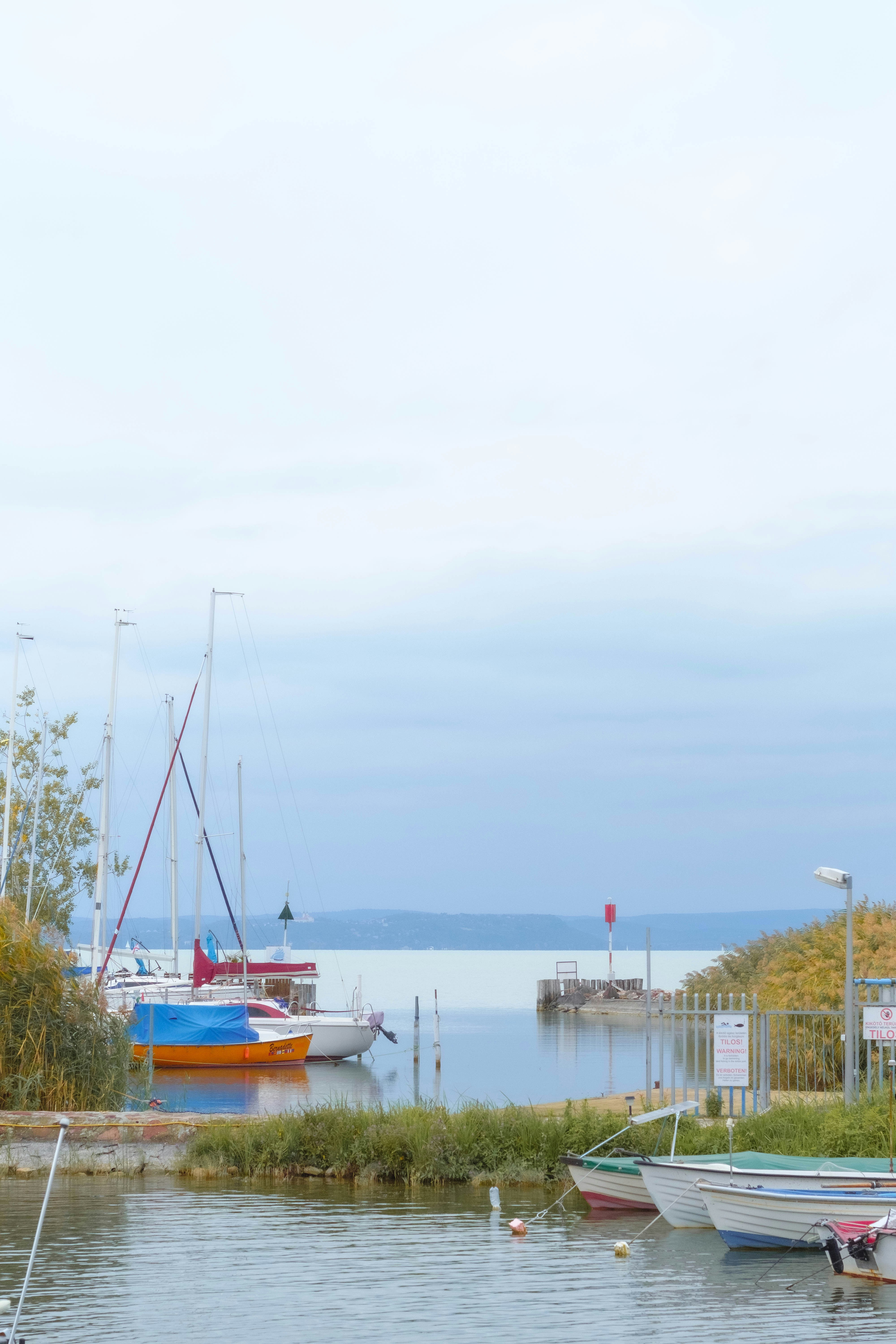 Sailboats and boats docked in a calm harbor.