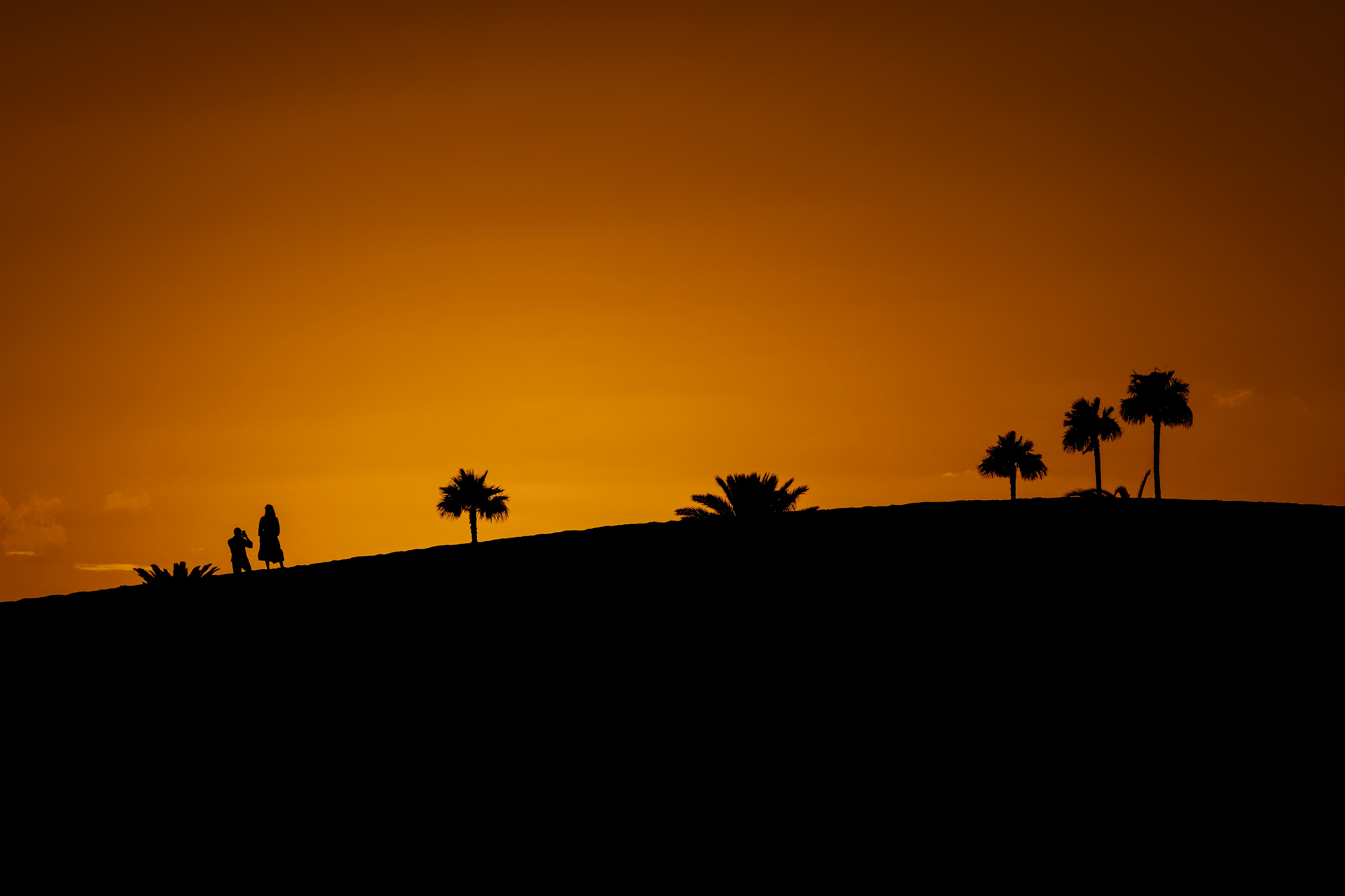 Two silhouettes stand on the dune ridge surrounded by palm trees, framed against a glowing orange sky. A quiet and poetic moment at sunset in Gran Canaria’s iconic Maspalomas dunes. | Silhouetted palm trees on a hill at sunset