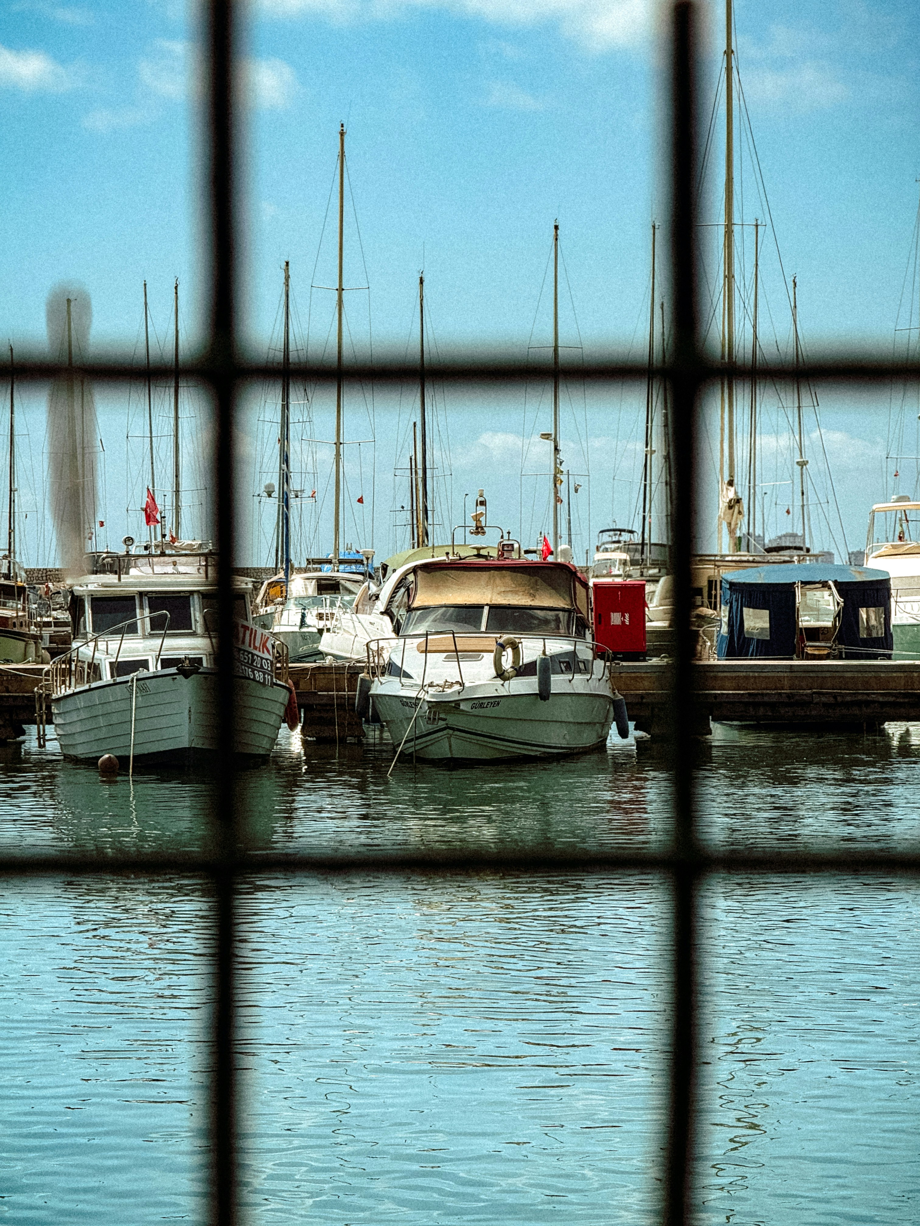 Harbor Serenity Through the Grid