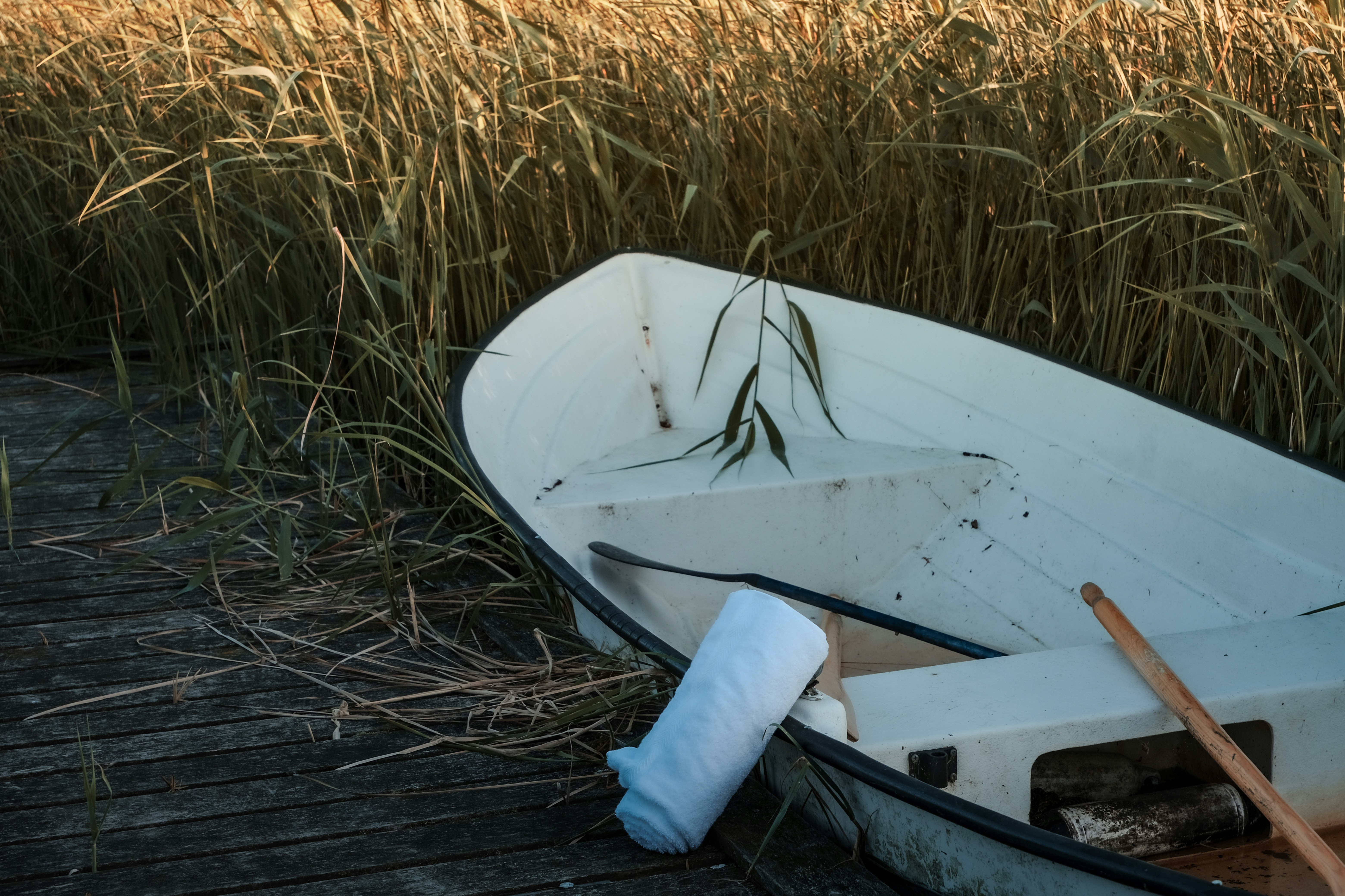 Solitary Rowboat Cradled by Golden Reeds at the Dock