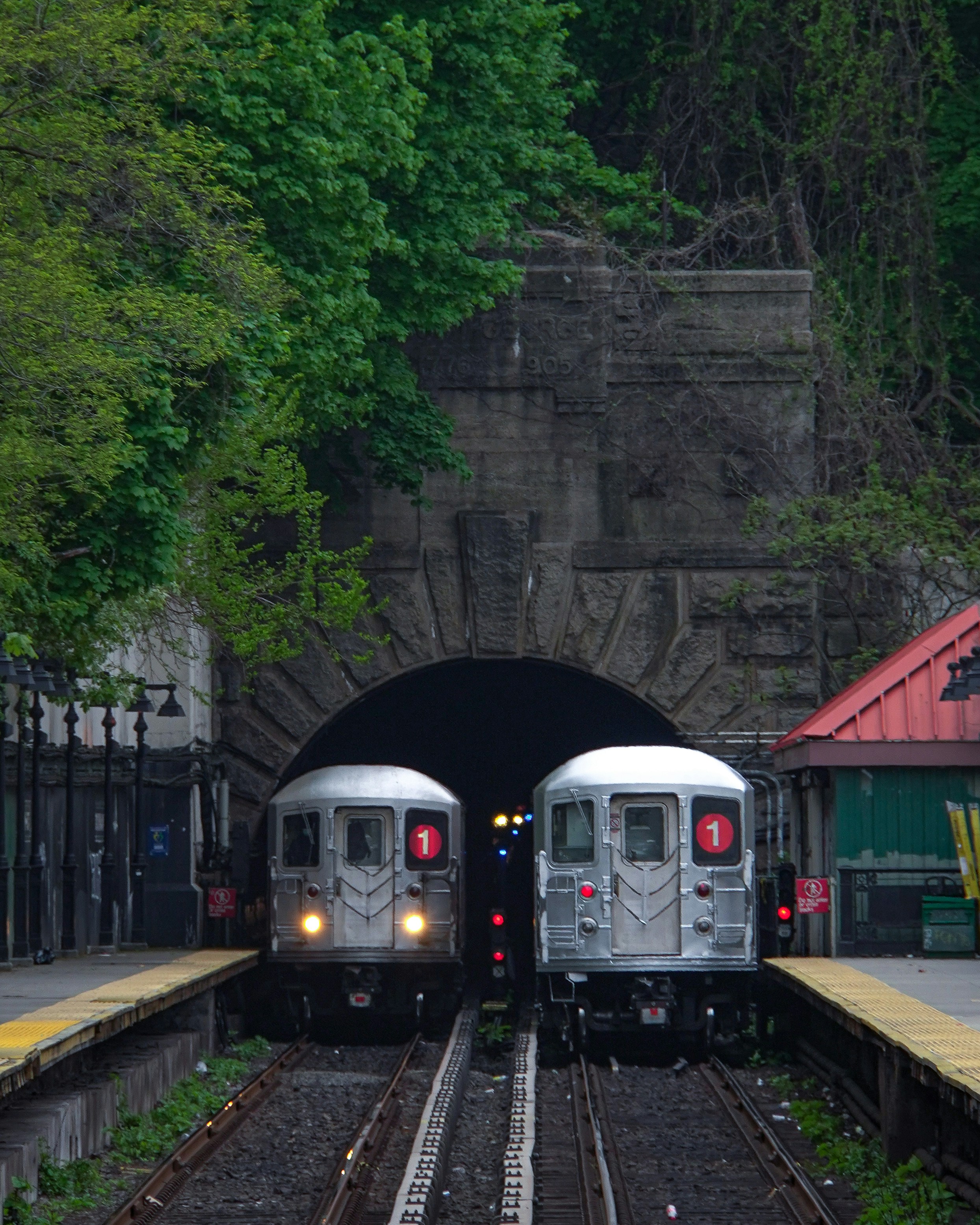 Twin Silver Rails Emerging from the Green Tunnel