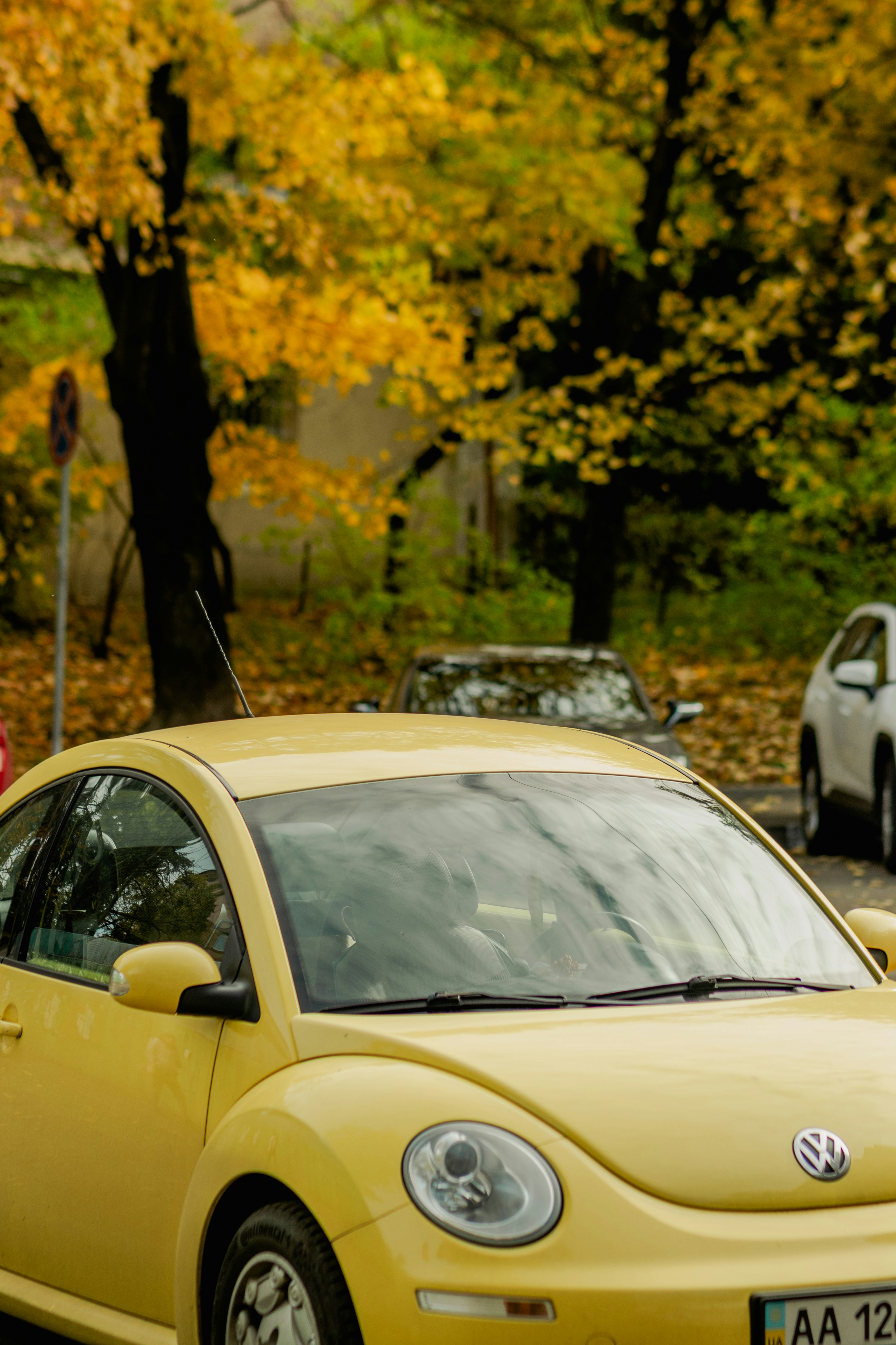 Sunlit Yellow Beetle Amid Gold Autumn Streetscape