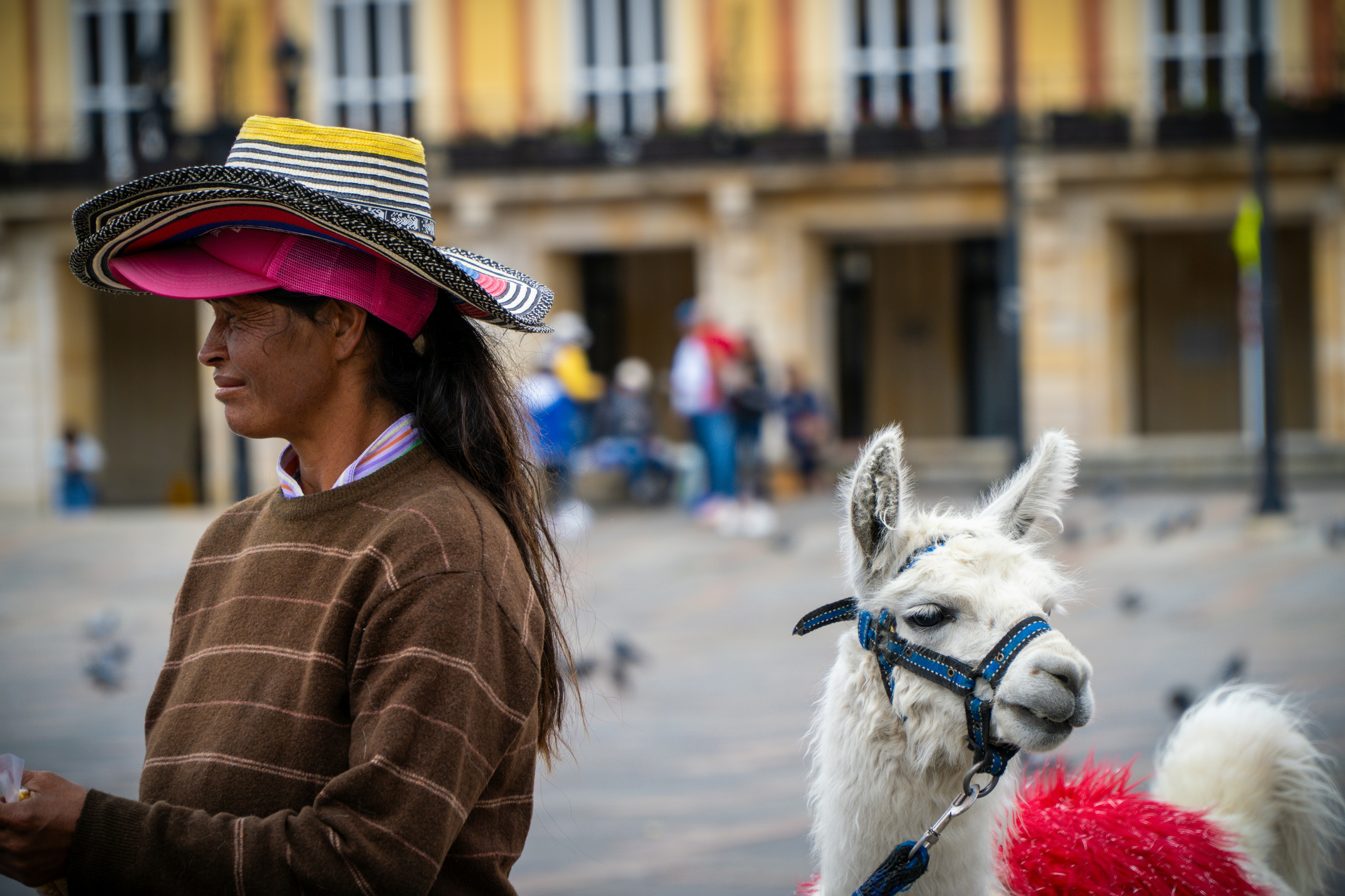 Woman in hat with llama in urban square