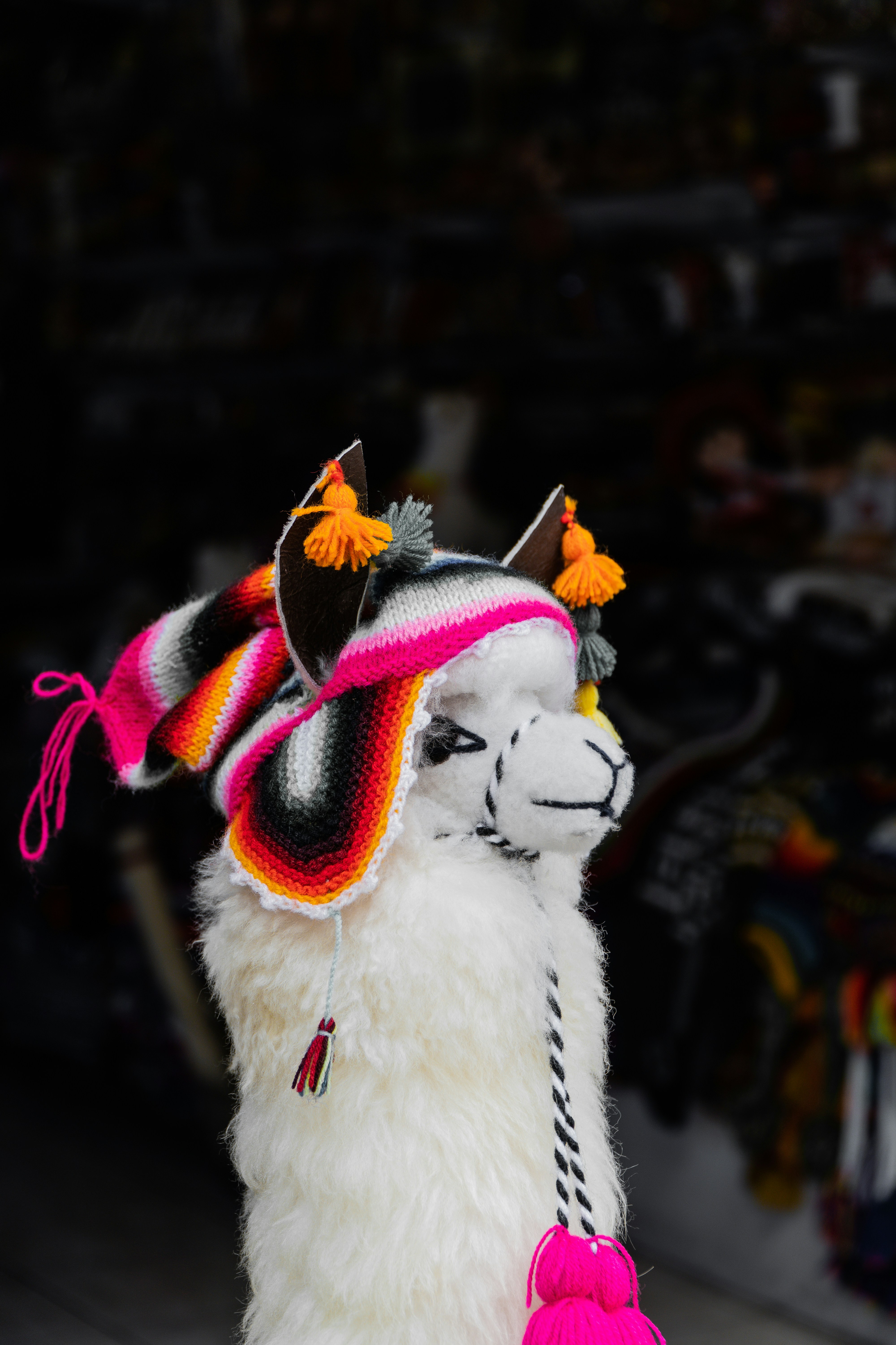 Whimsical Alpaca in Vibrant Attire
