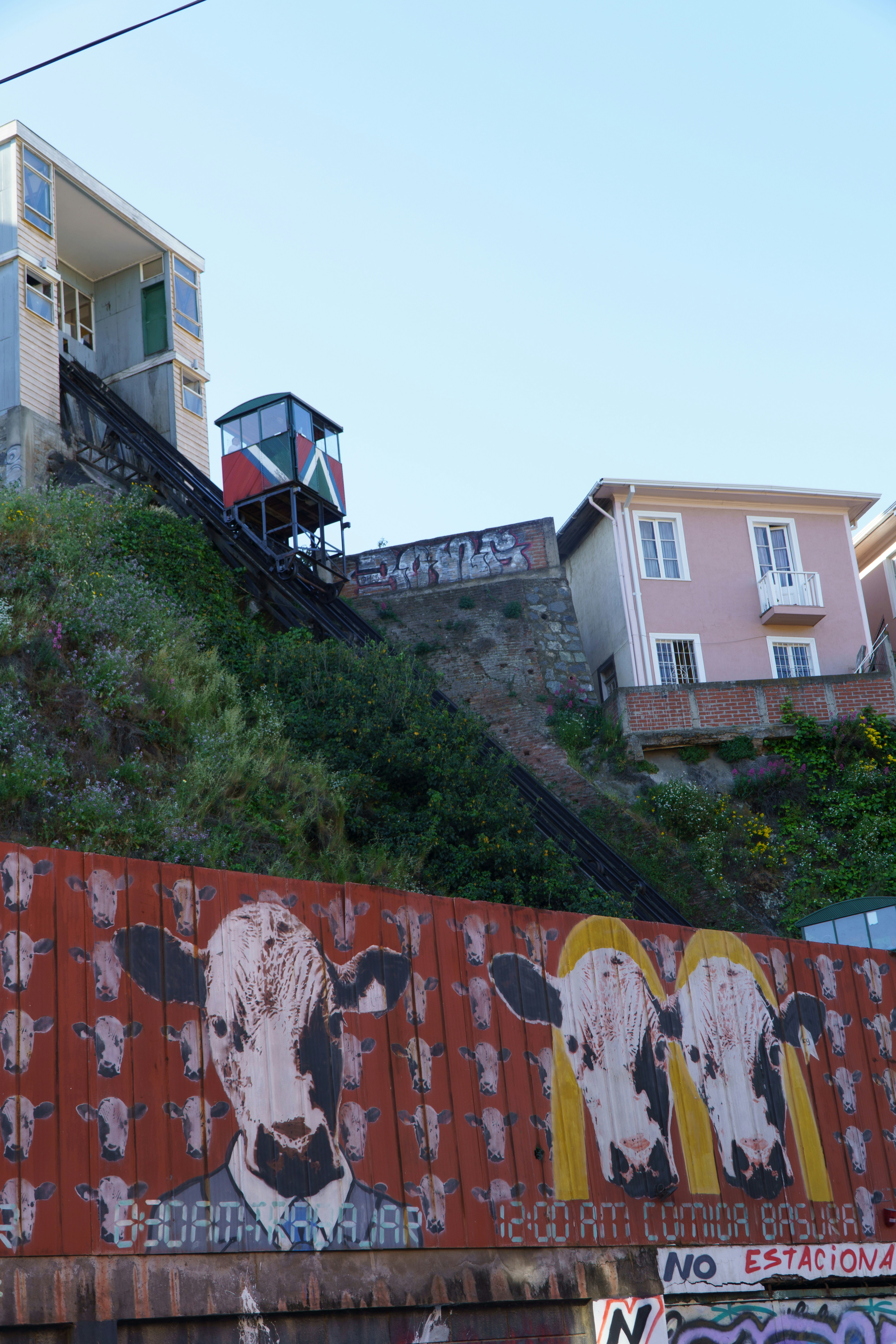 Mural de graffiti de vacas en una ladera con edificios. foto – Imagen ...