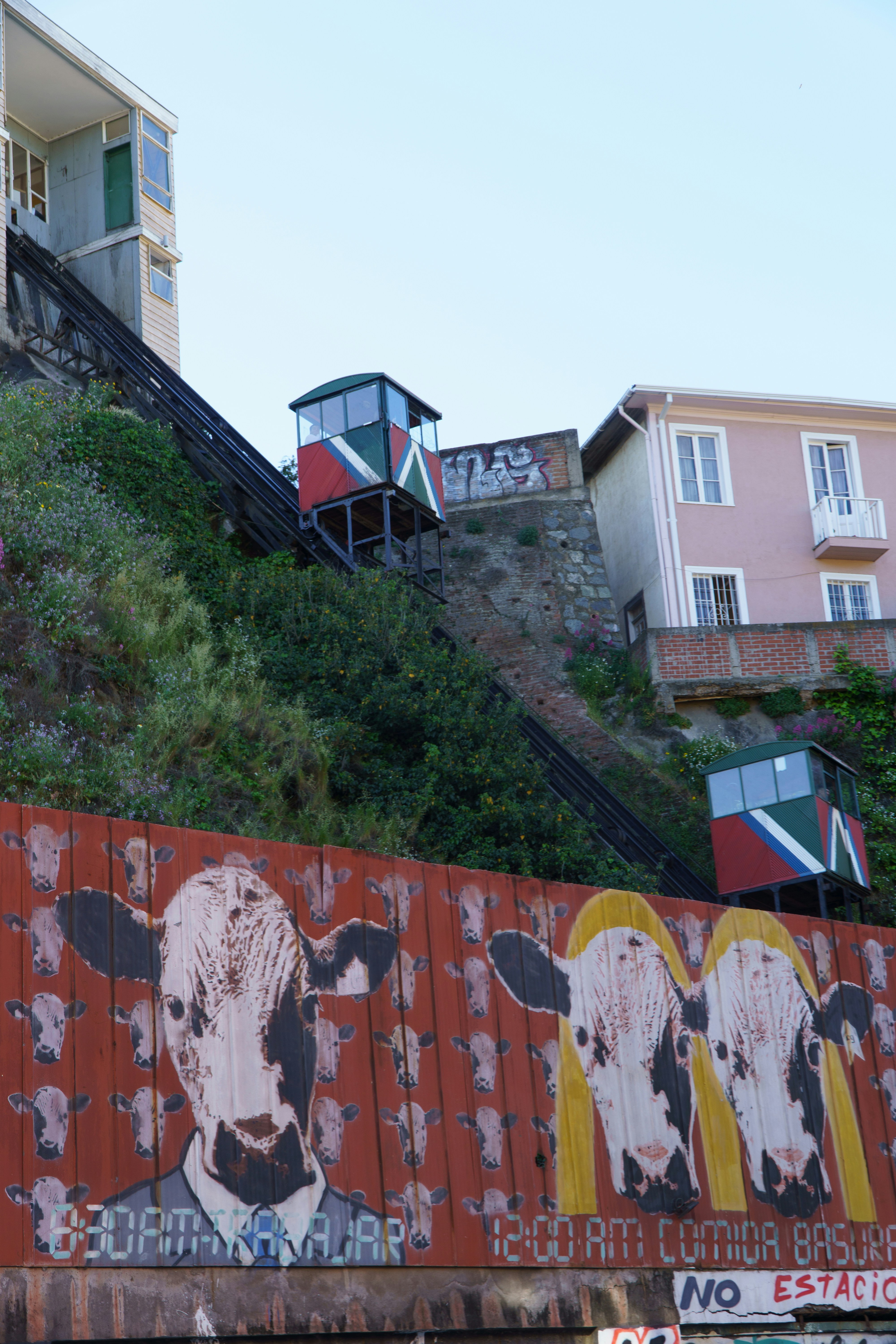 Urban Graffiti Meets Vintage Charm