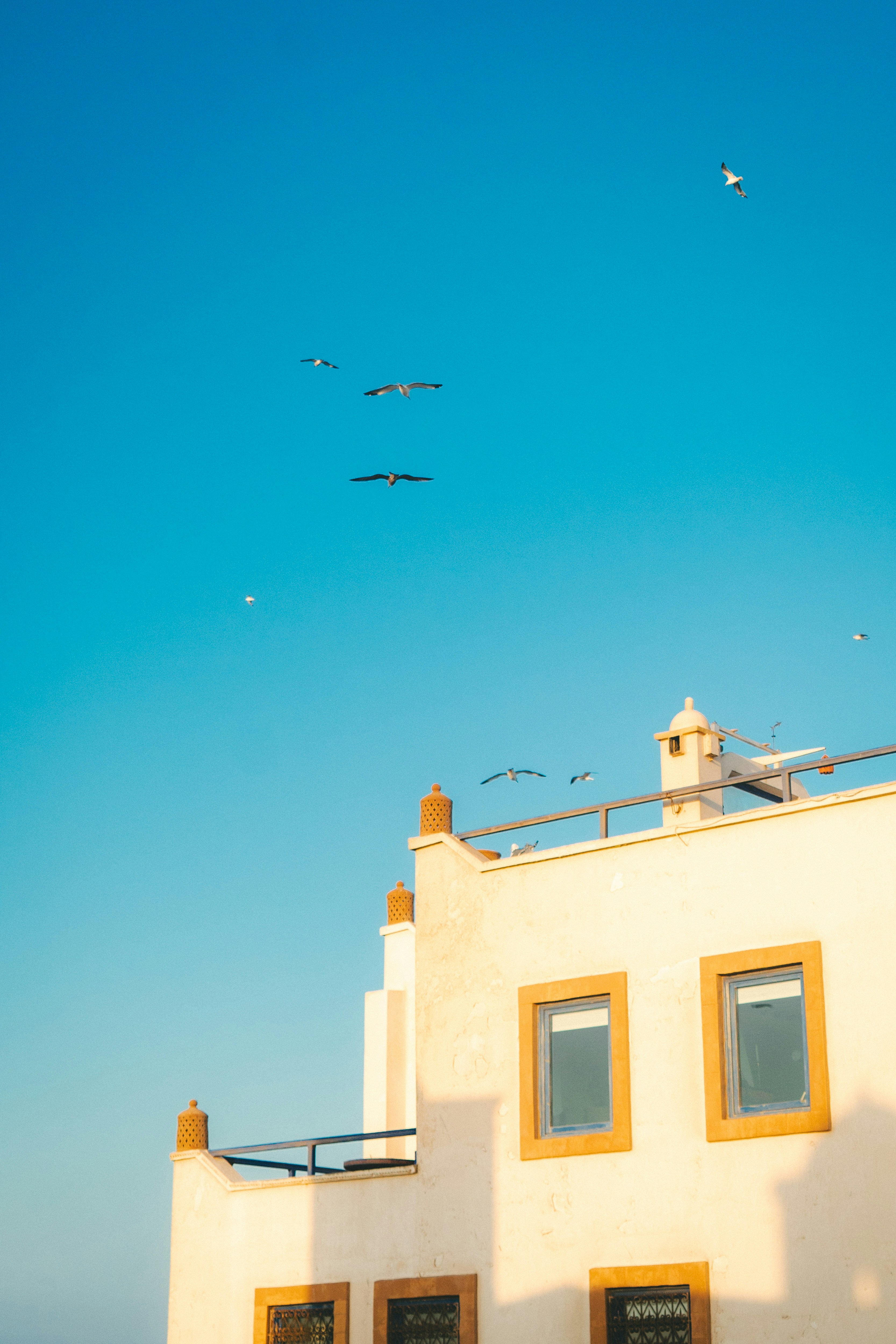 Soaring Above the Coastal Retreat