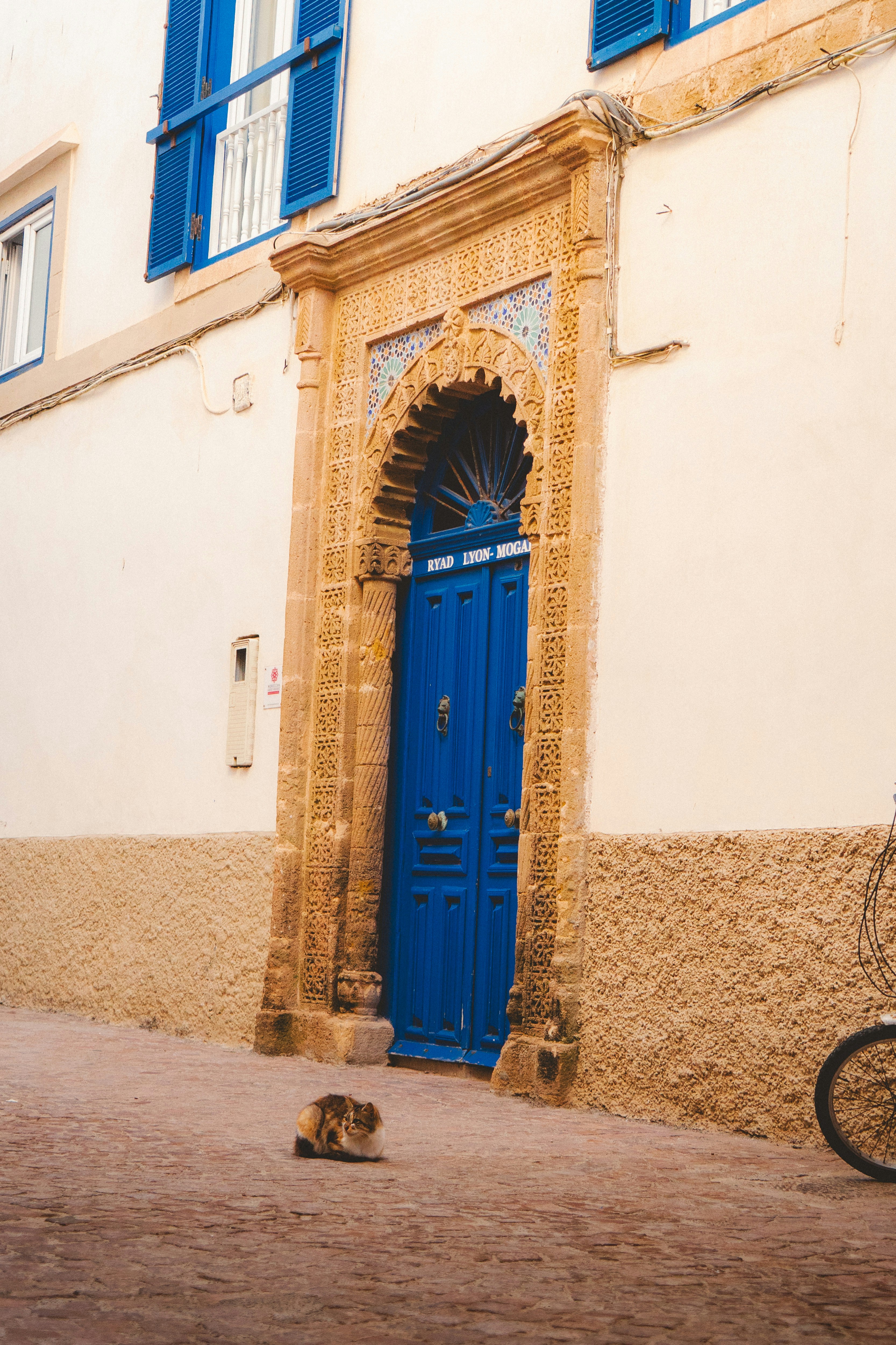Whispers of the Medina: A Serene Encounter