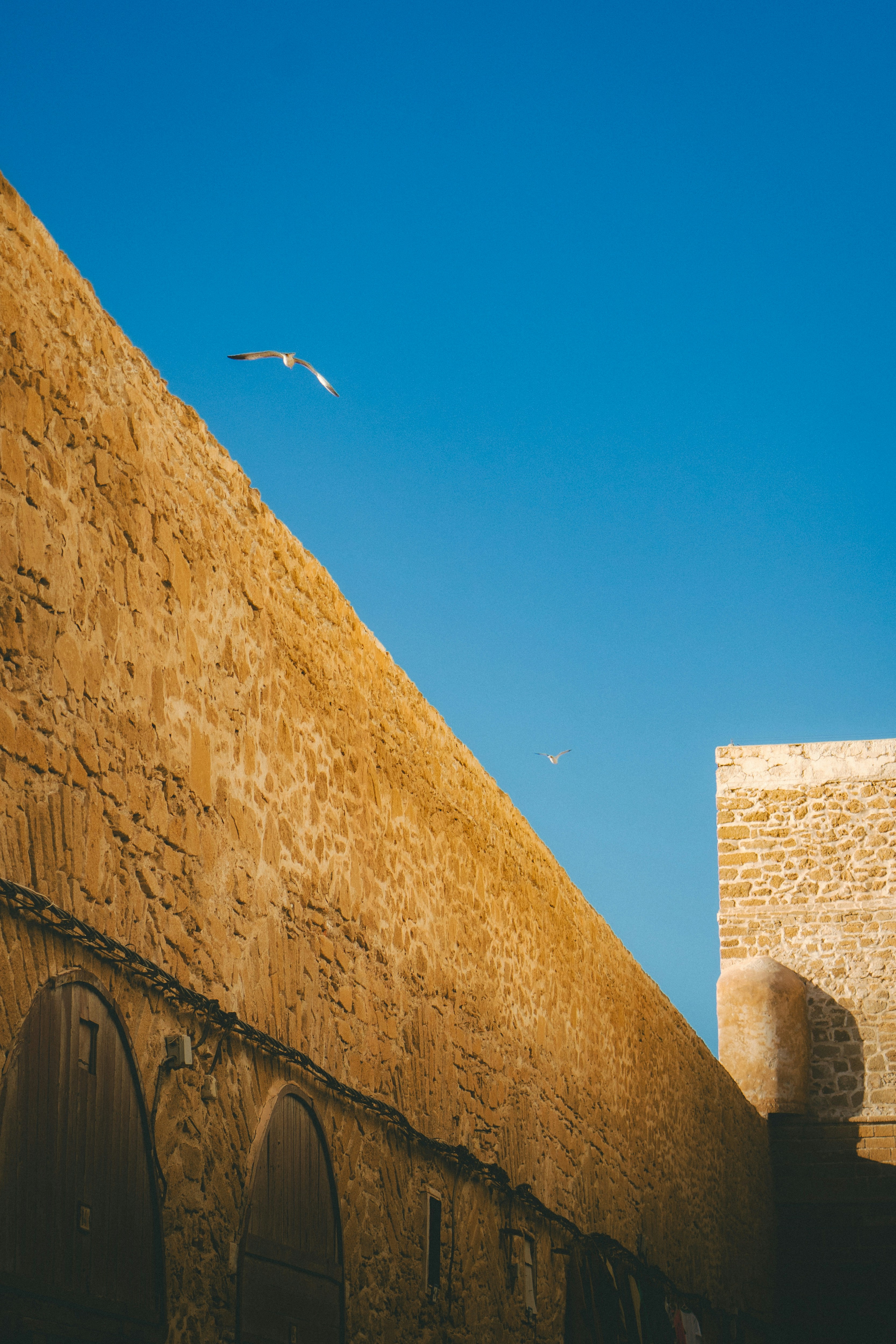 Seagull soaring above weathered stone walls under a clear blue sky, evoking a sense of history and freedom.