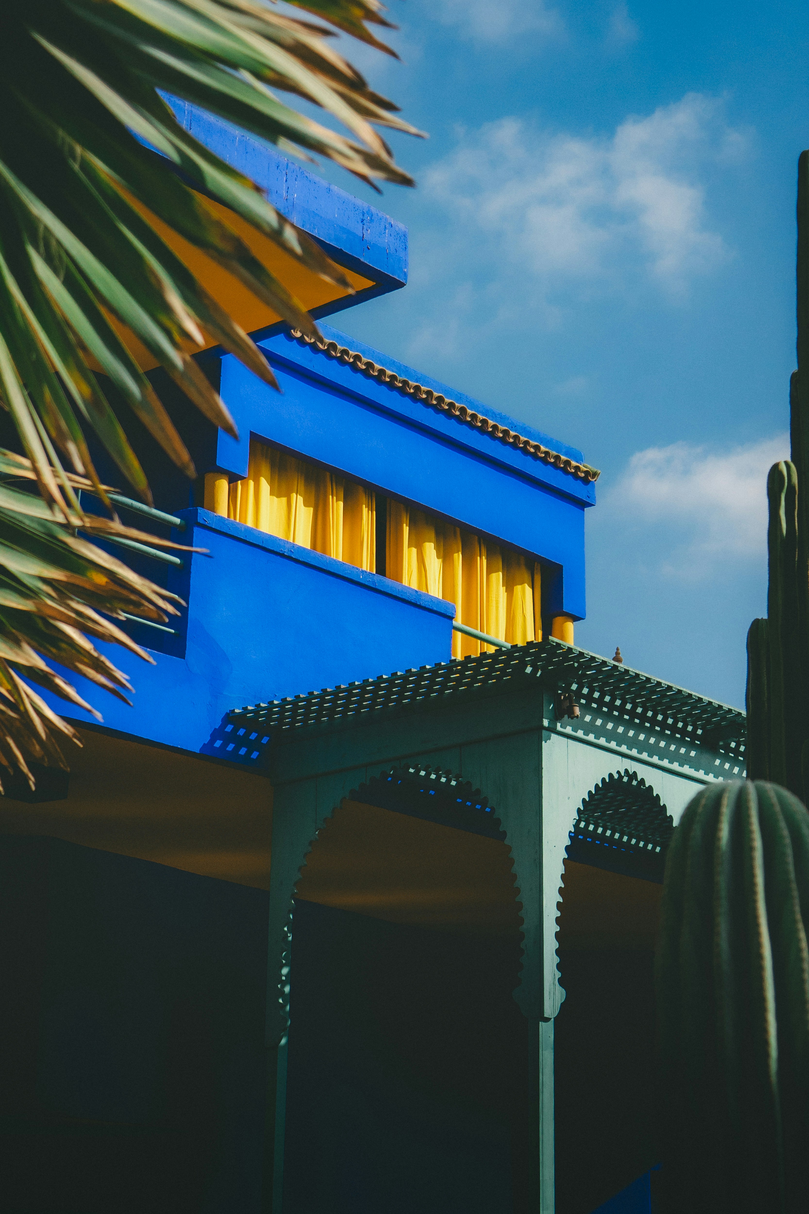 Vibrant Oasis of Color and Design