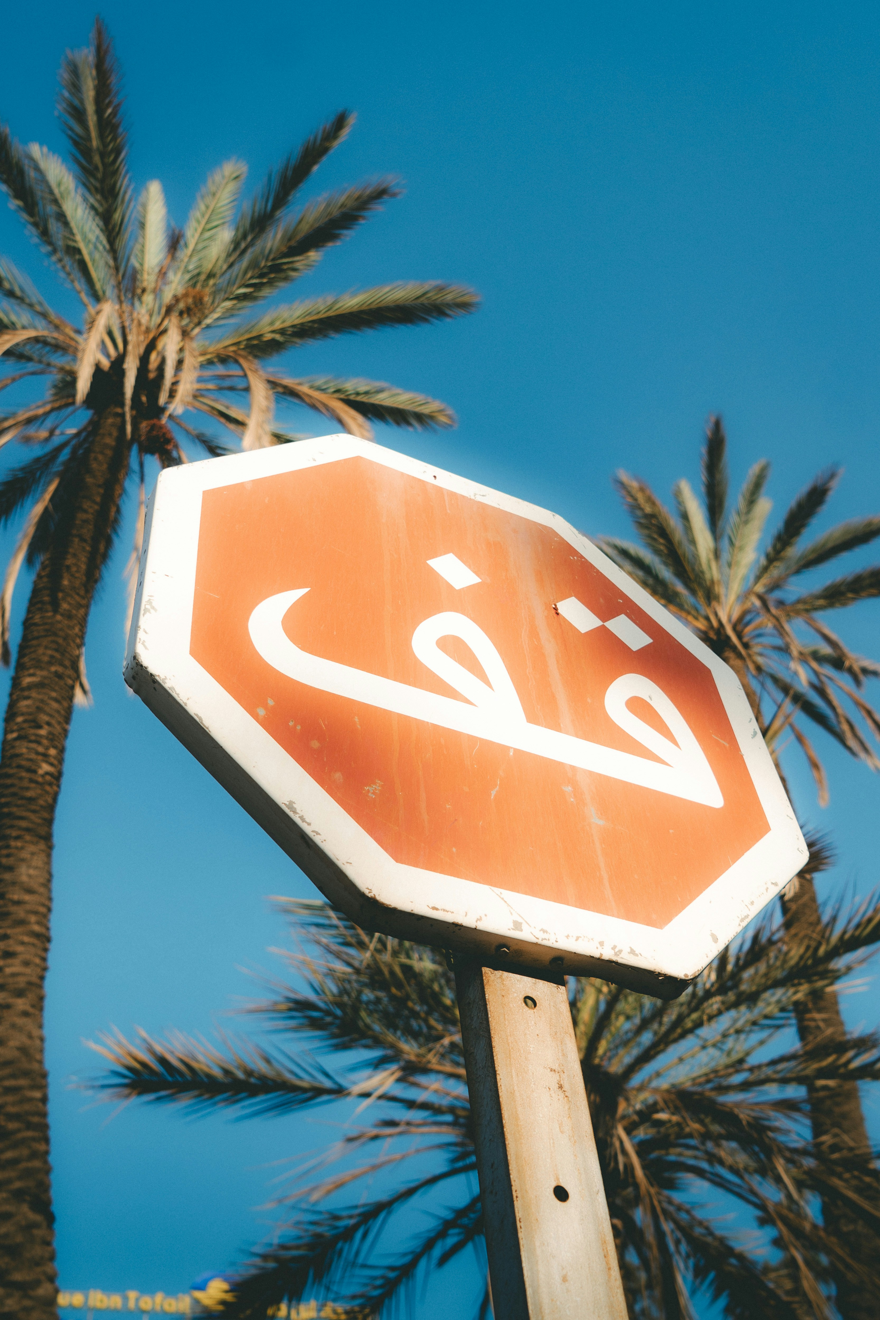 A Pause in Paradise: The Message Beneath the Palms