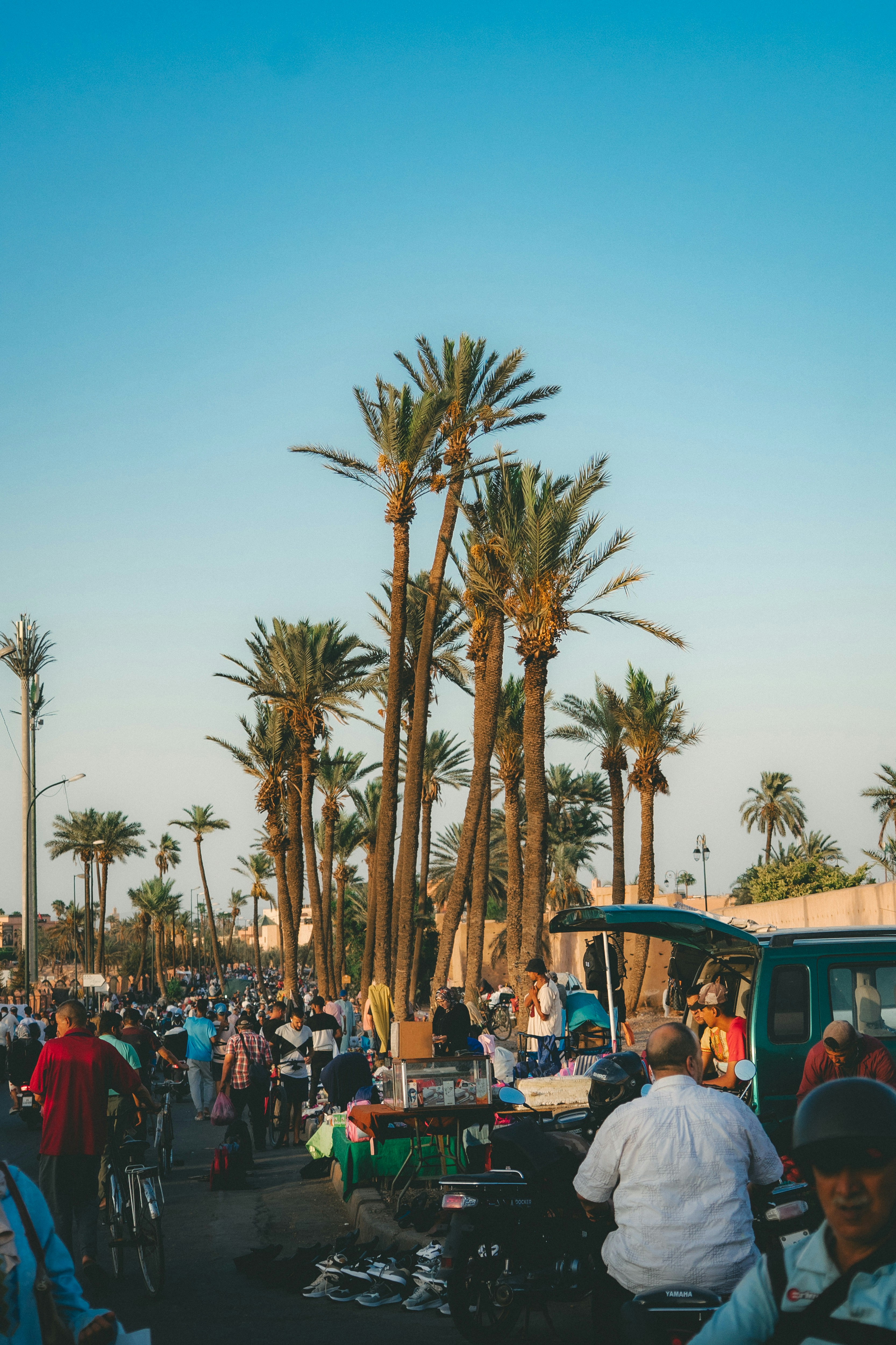 Vibrant Market Life Under the Palm Canopy