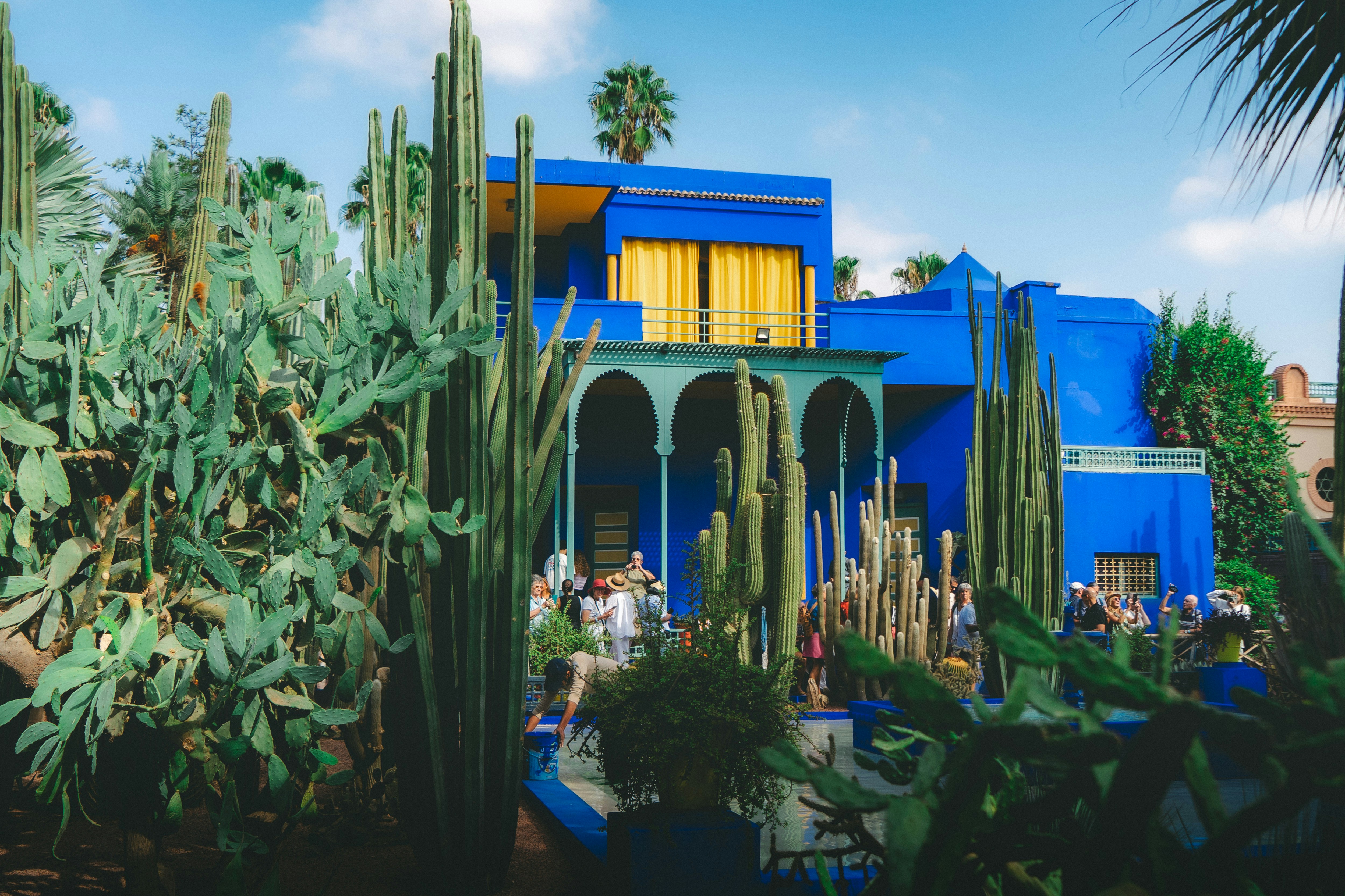 Photo by mathieu gauzy with Sony Alpha 7 II