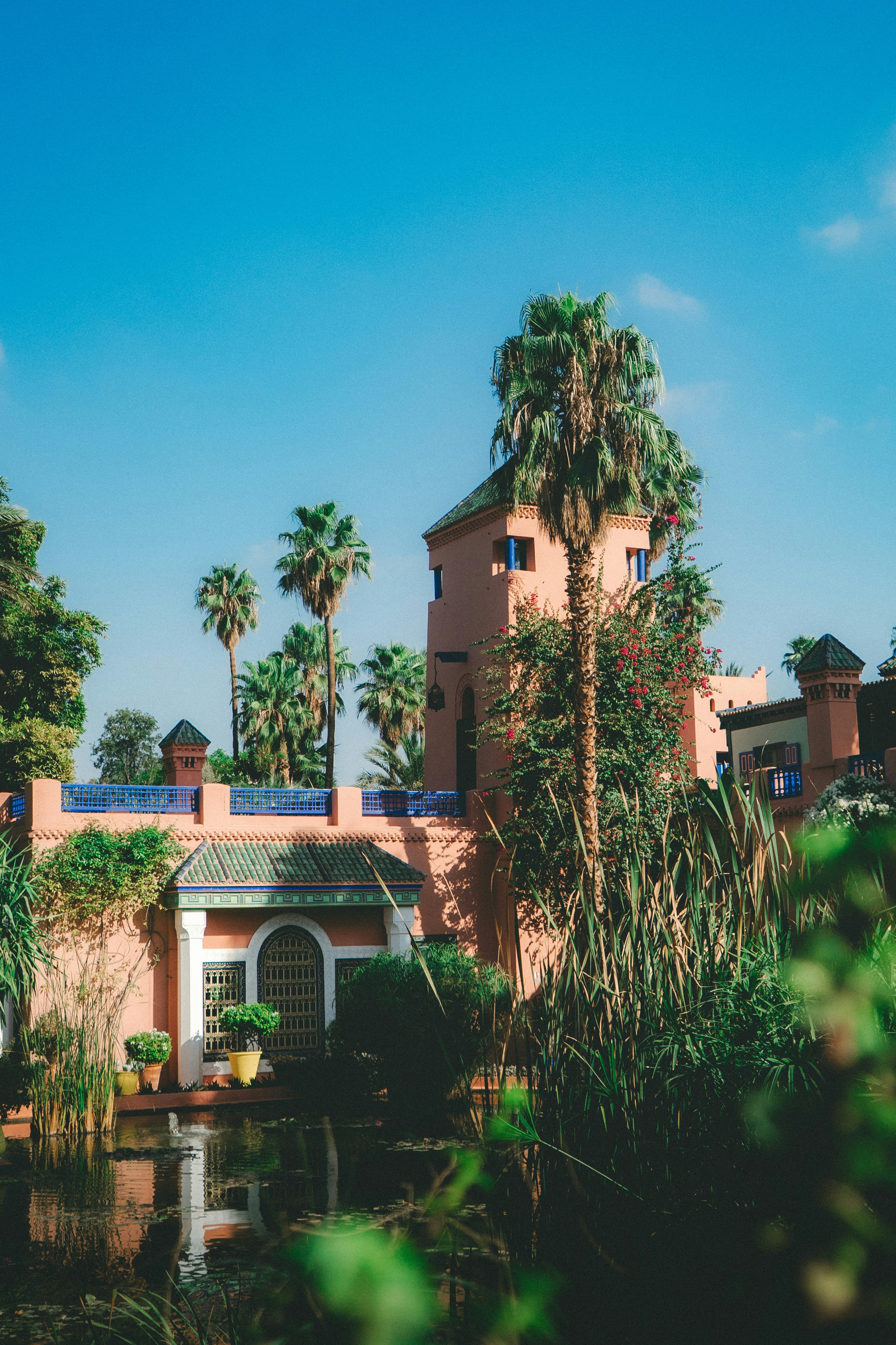 Pink building with palm trees and lush greenery photo – Free Palm trees ...