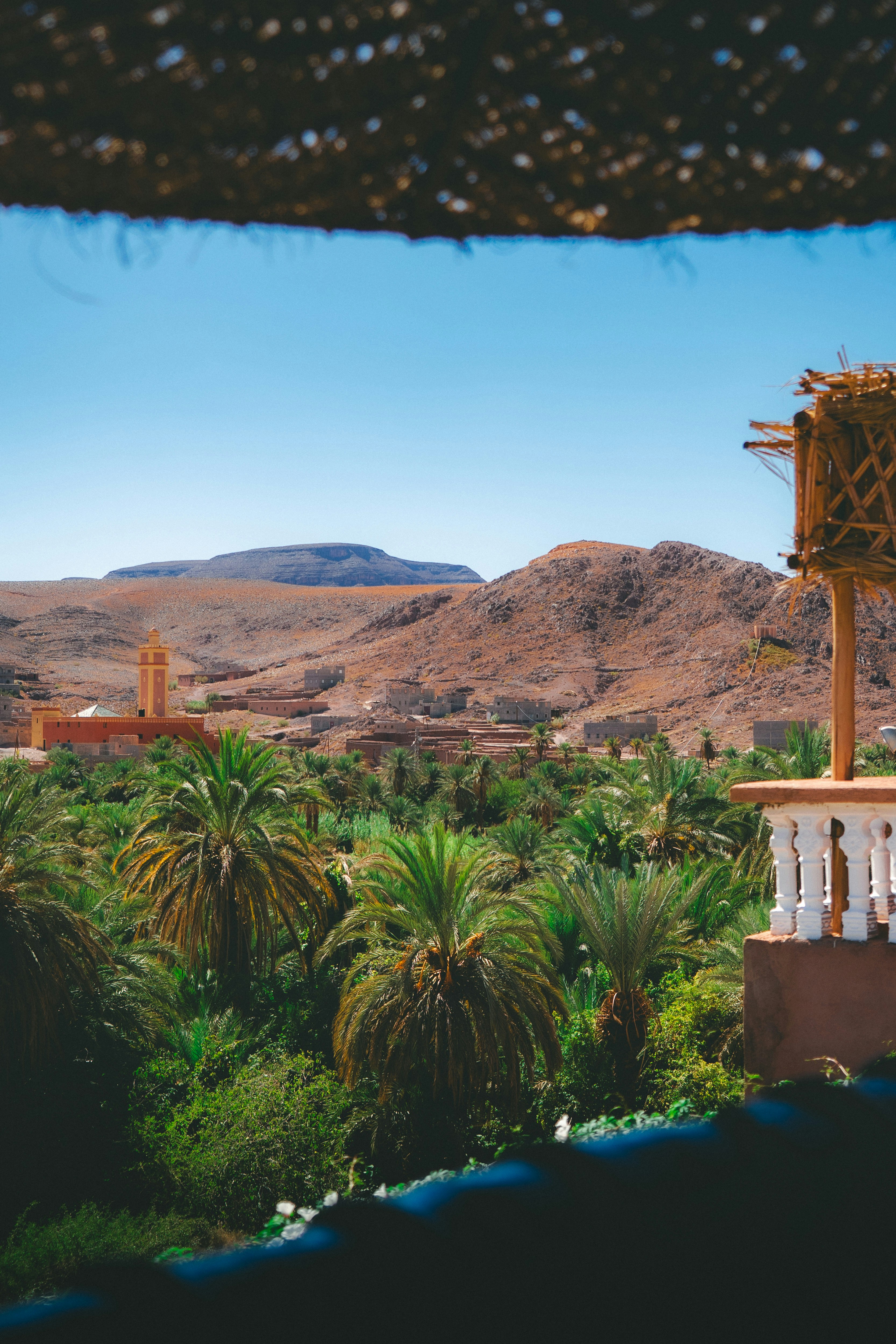 Desert Oasis Beneath a Palm Canopy: A Terracotta Village Framed by Balcony Shadows