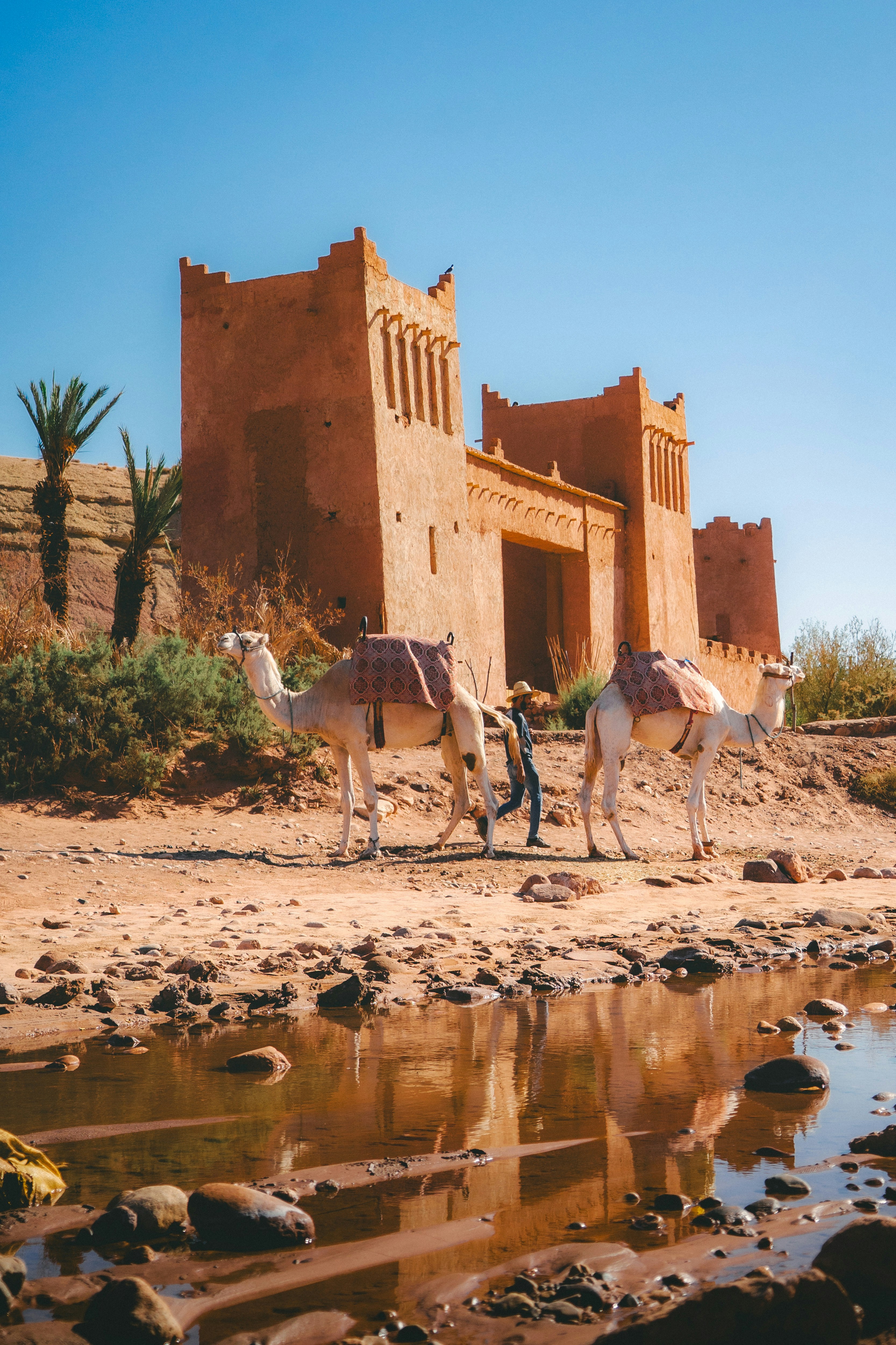 Earthen Citadel and Camel Caravan at the Desert Oasis
