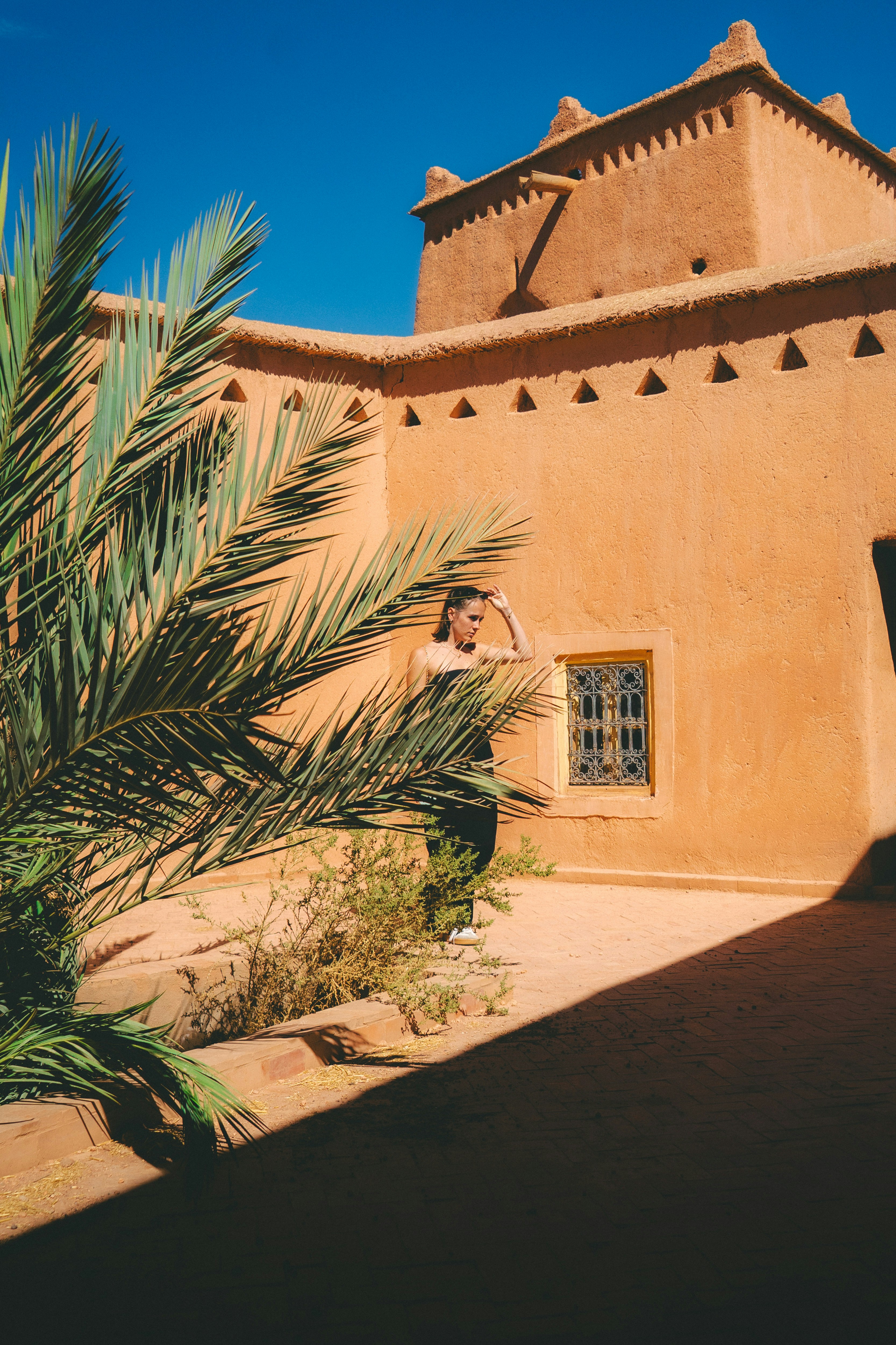 Whispers of the Desert Oasis