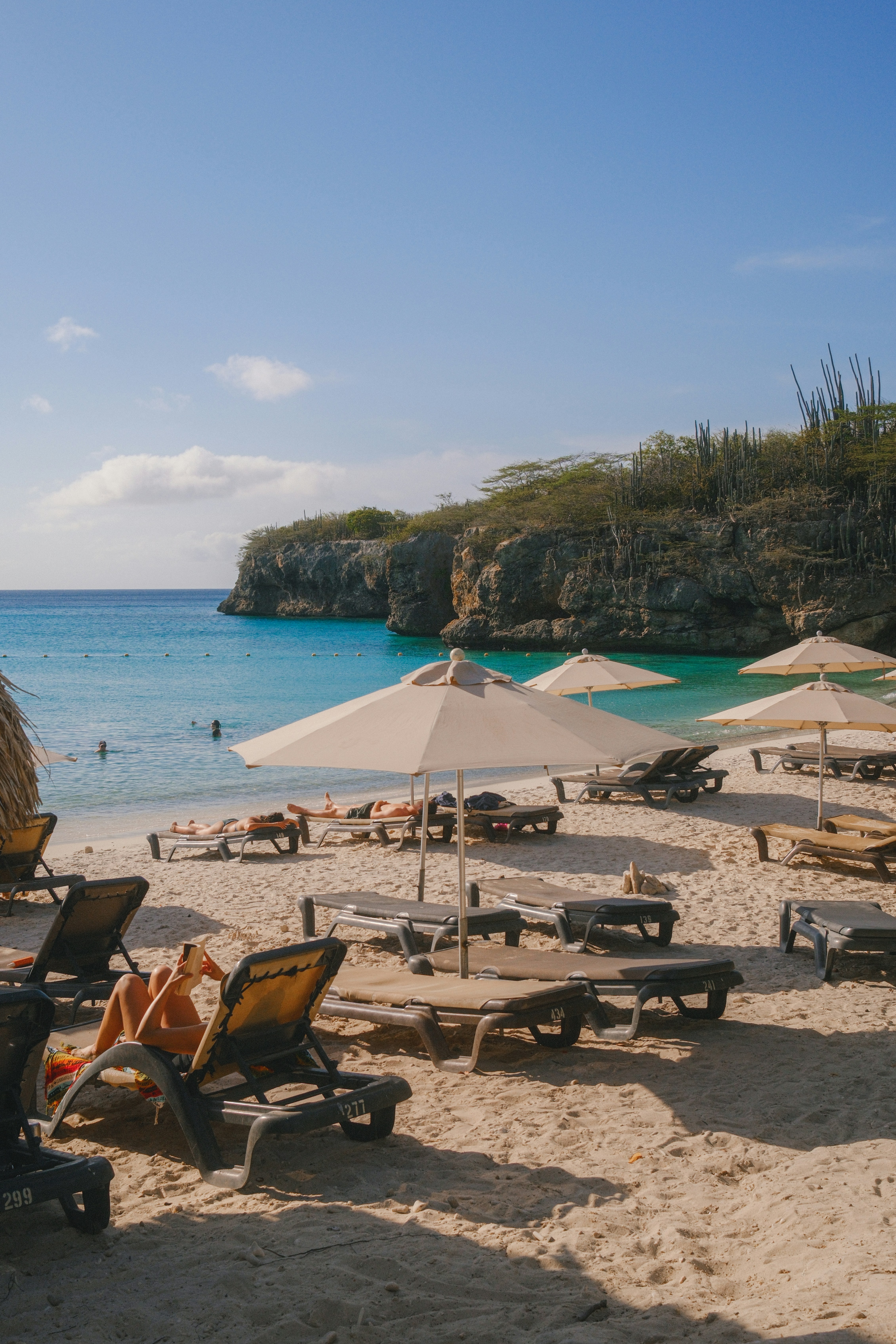 Turquoise Bay Umbrella Grid: A Sunlit Beach Scene