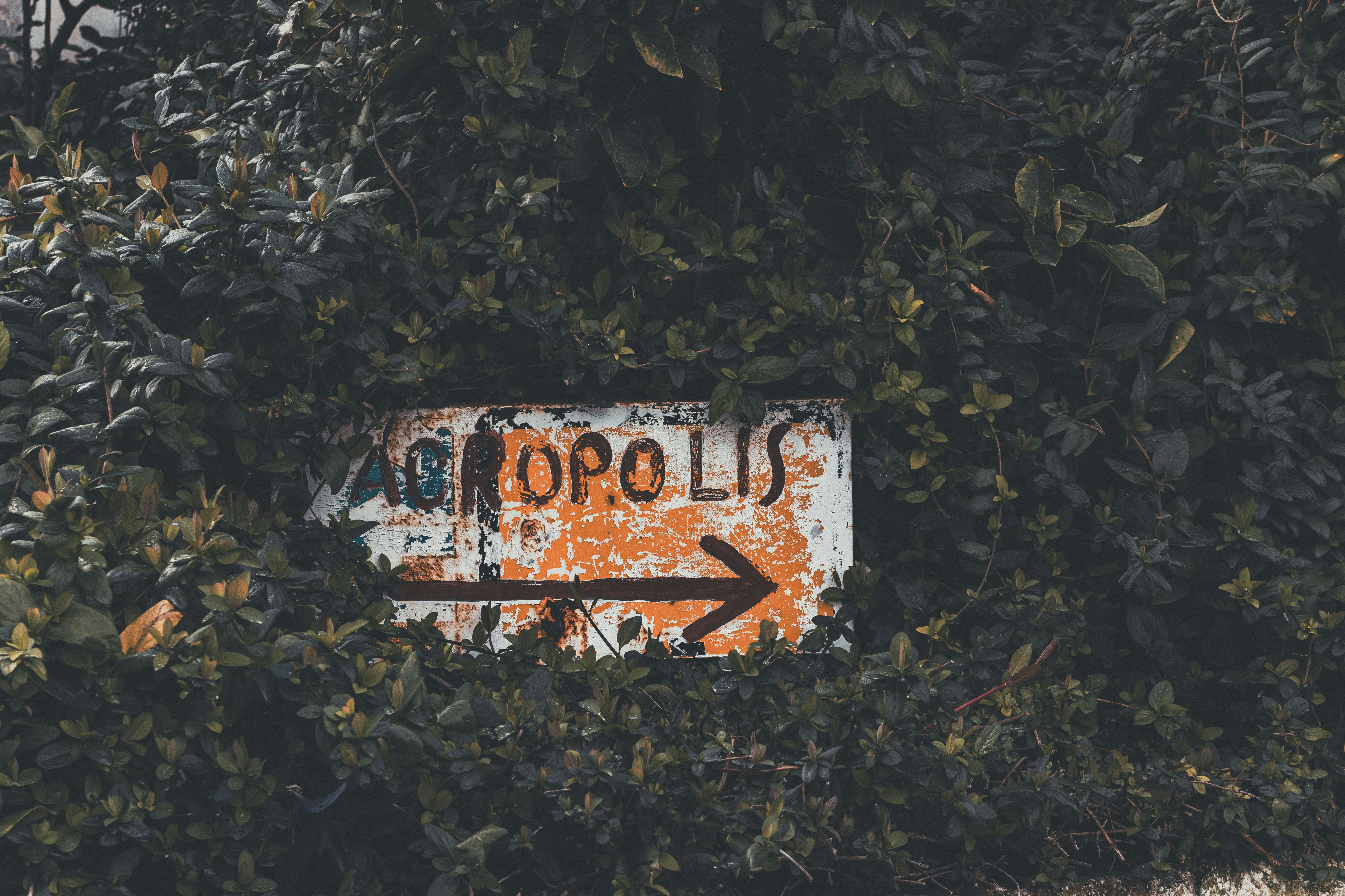 Forgotten Directions: A Pathway to the Past