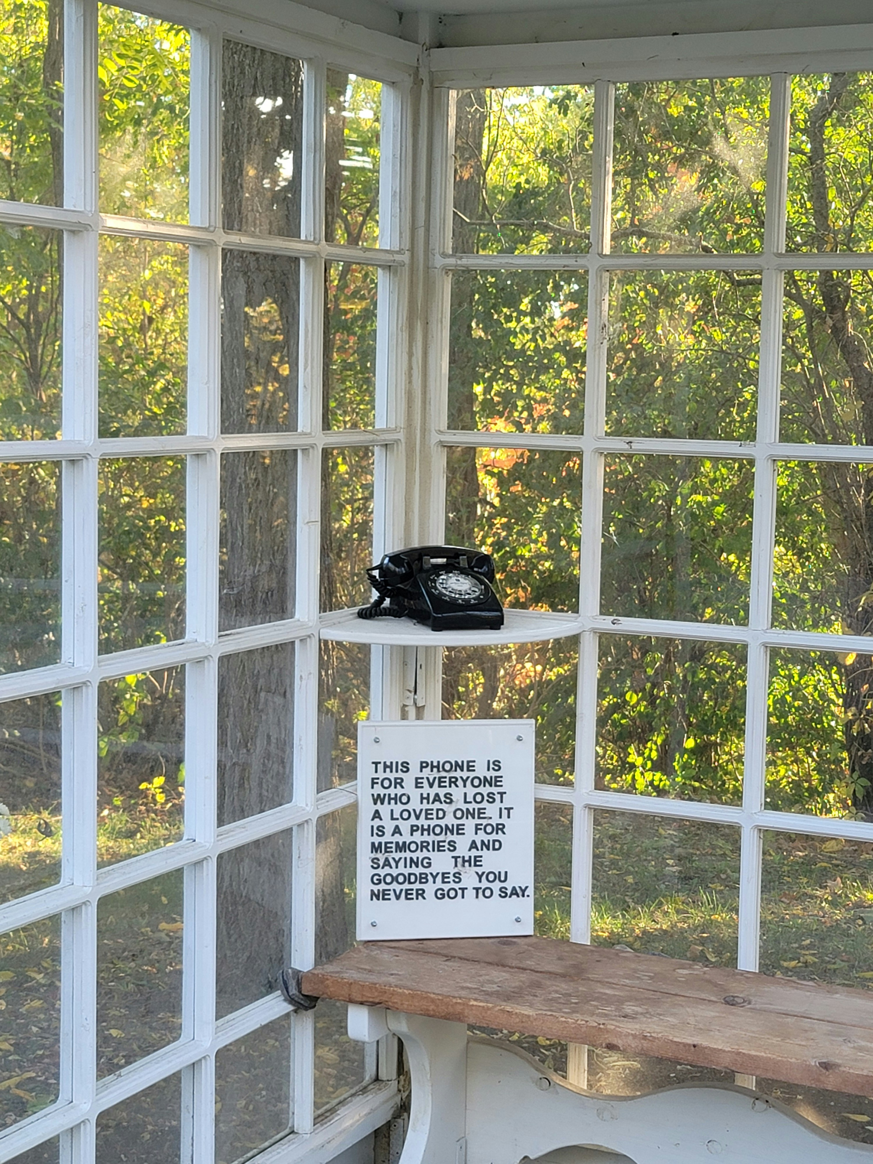 Dialing Through Light: A Vintage Rotary Phone in a Glass Atrium