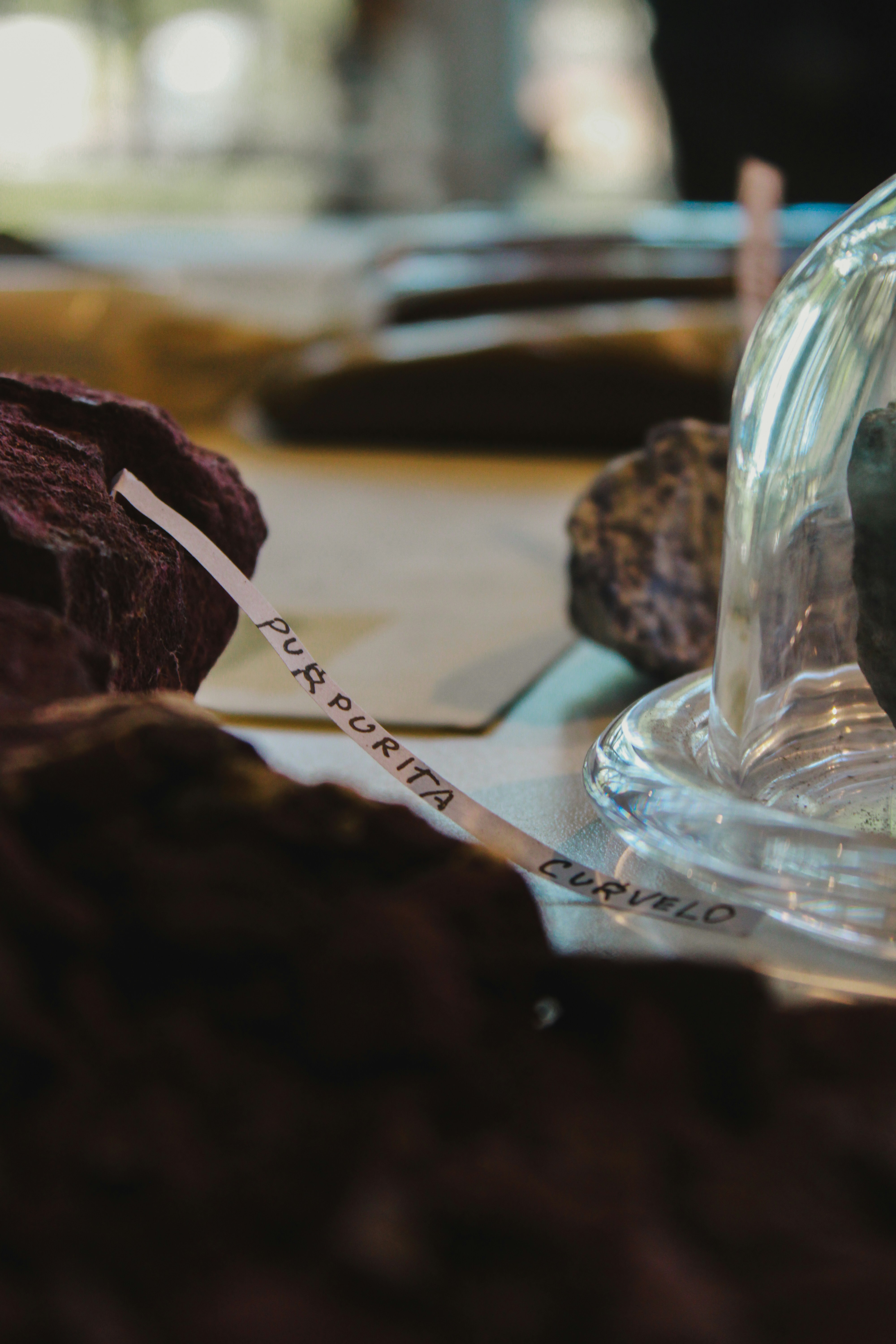 Close-up of various geological samples displayed under glass, with labels indicating their names. The focus is on the textures and colors of the rocks.
