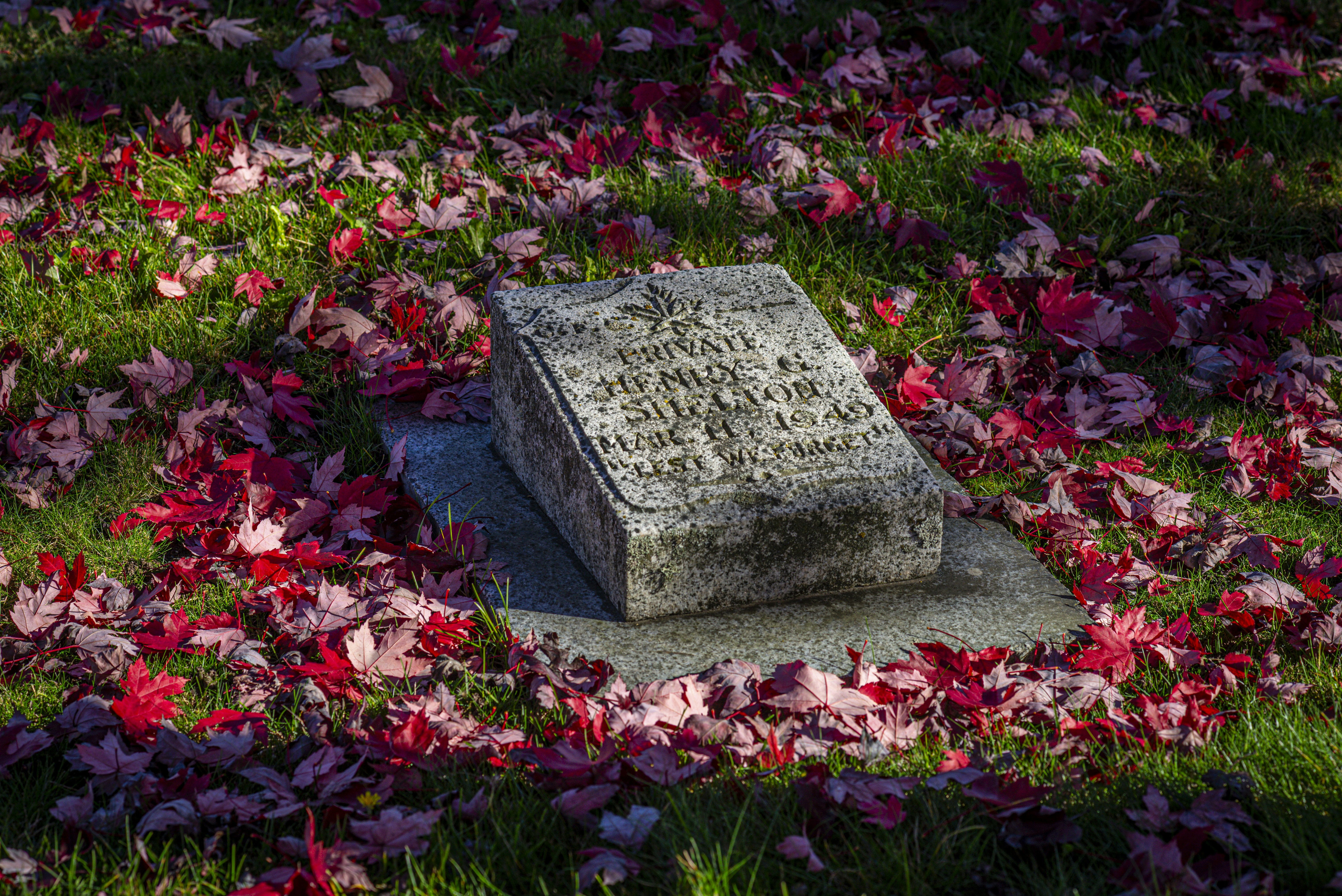 Whispers of Autumn: A Stone's Tribute