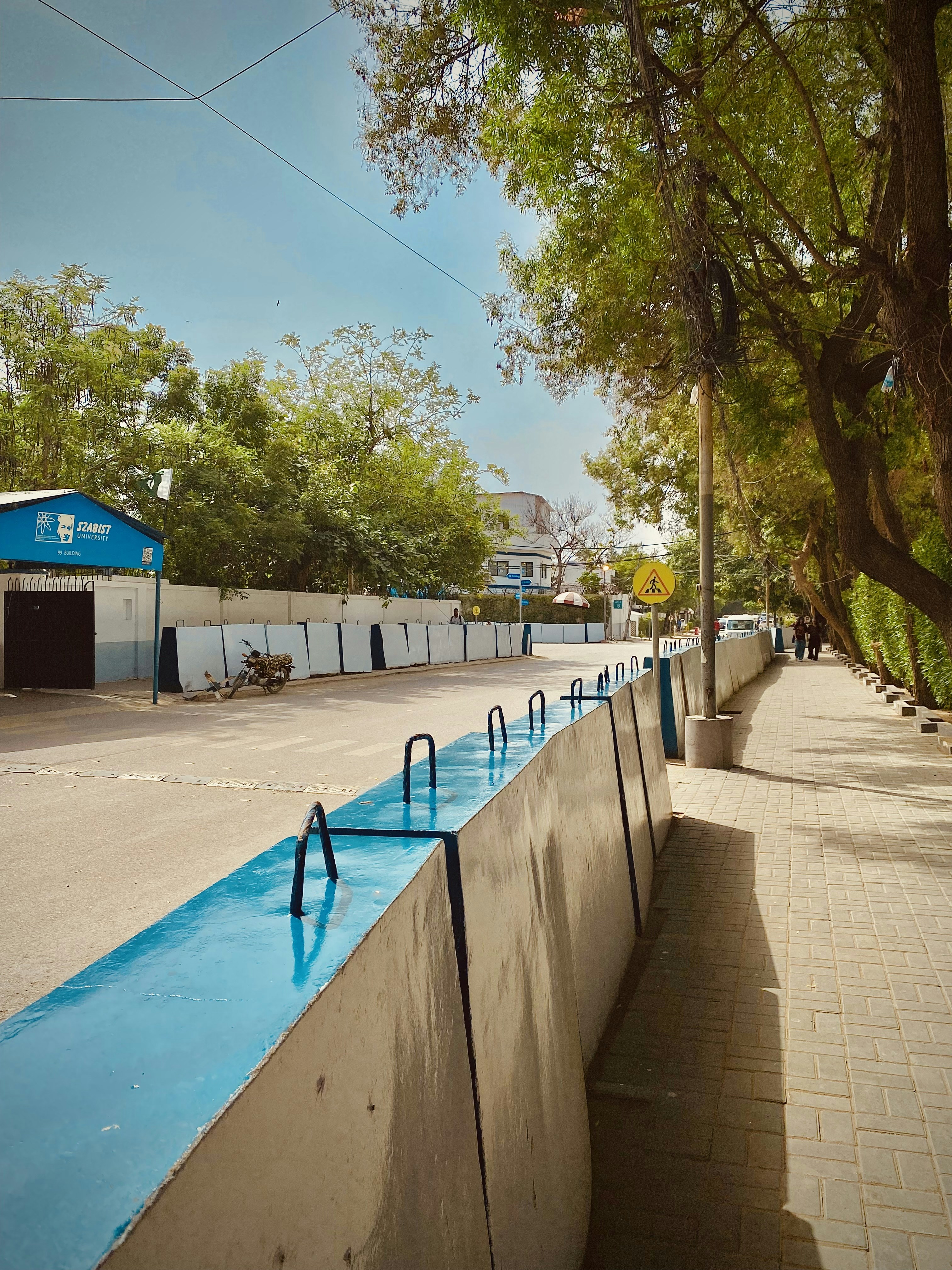 Urban Serenity: A Stroll Through Concrete and Greenery
