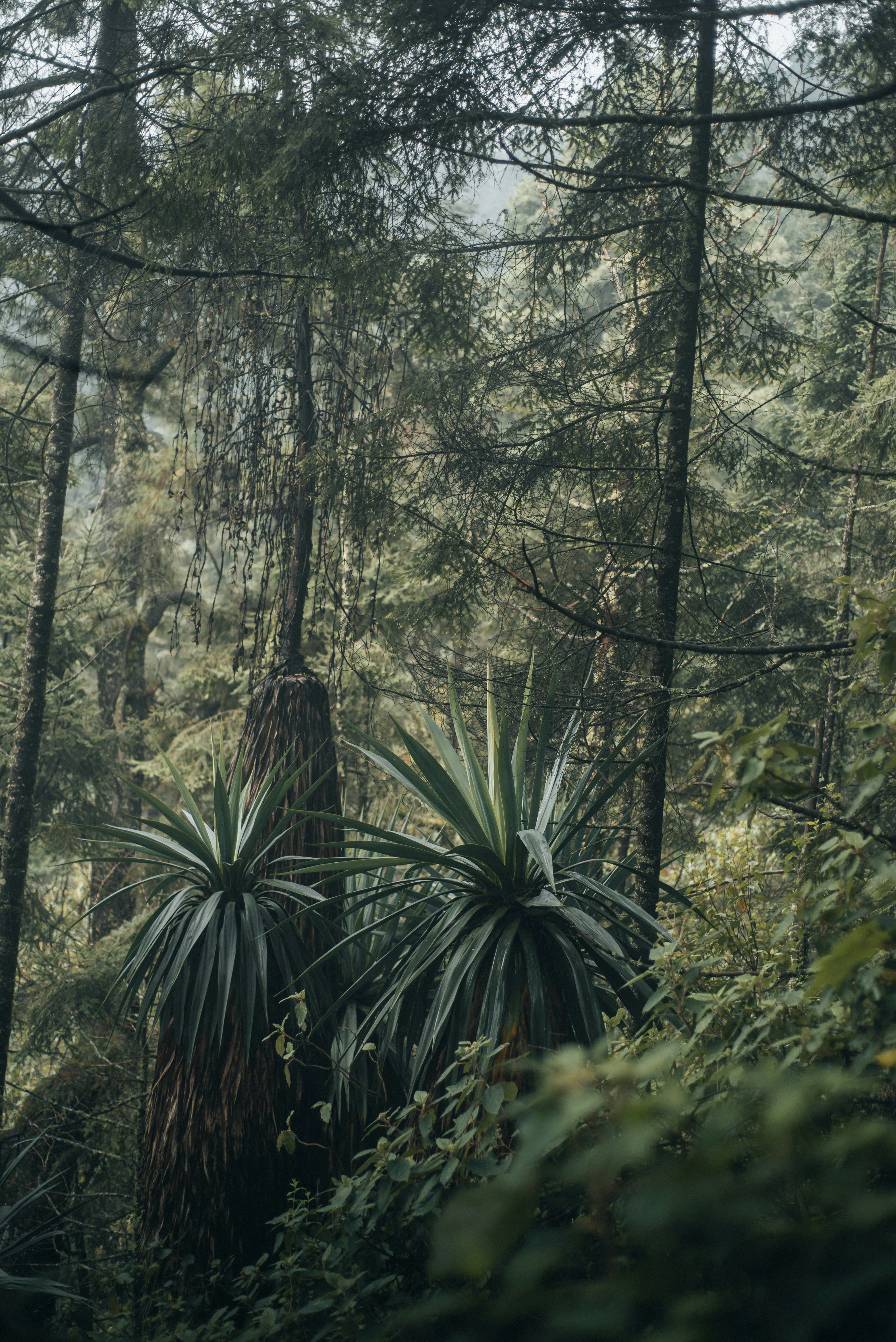 David Theodore (@davidtheodorephotography) | Unsplash Photo Community