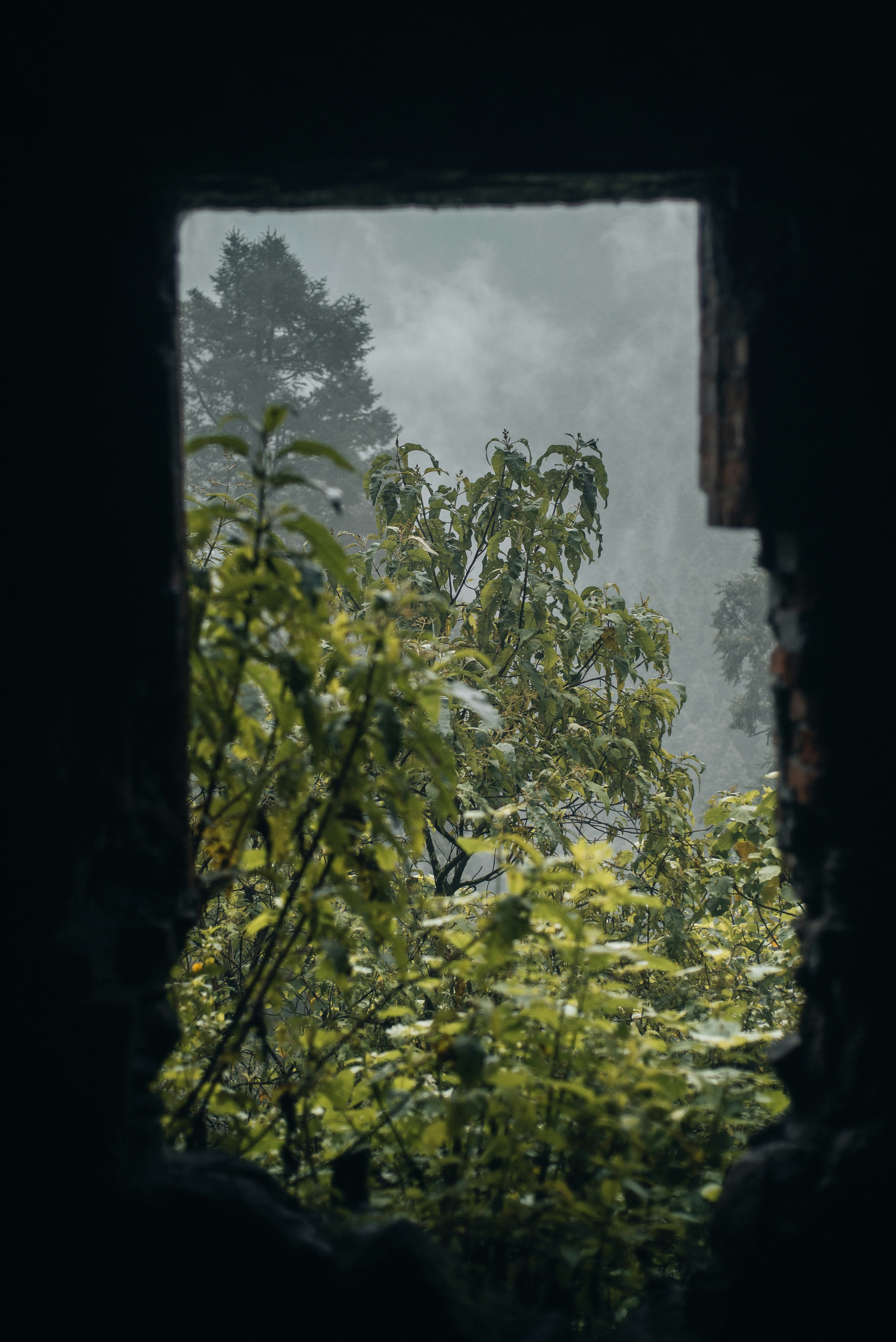 David Theodore (@davidtheodorephotography) | Unsplash Photo Community