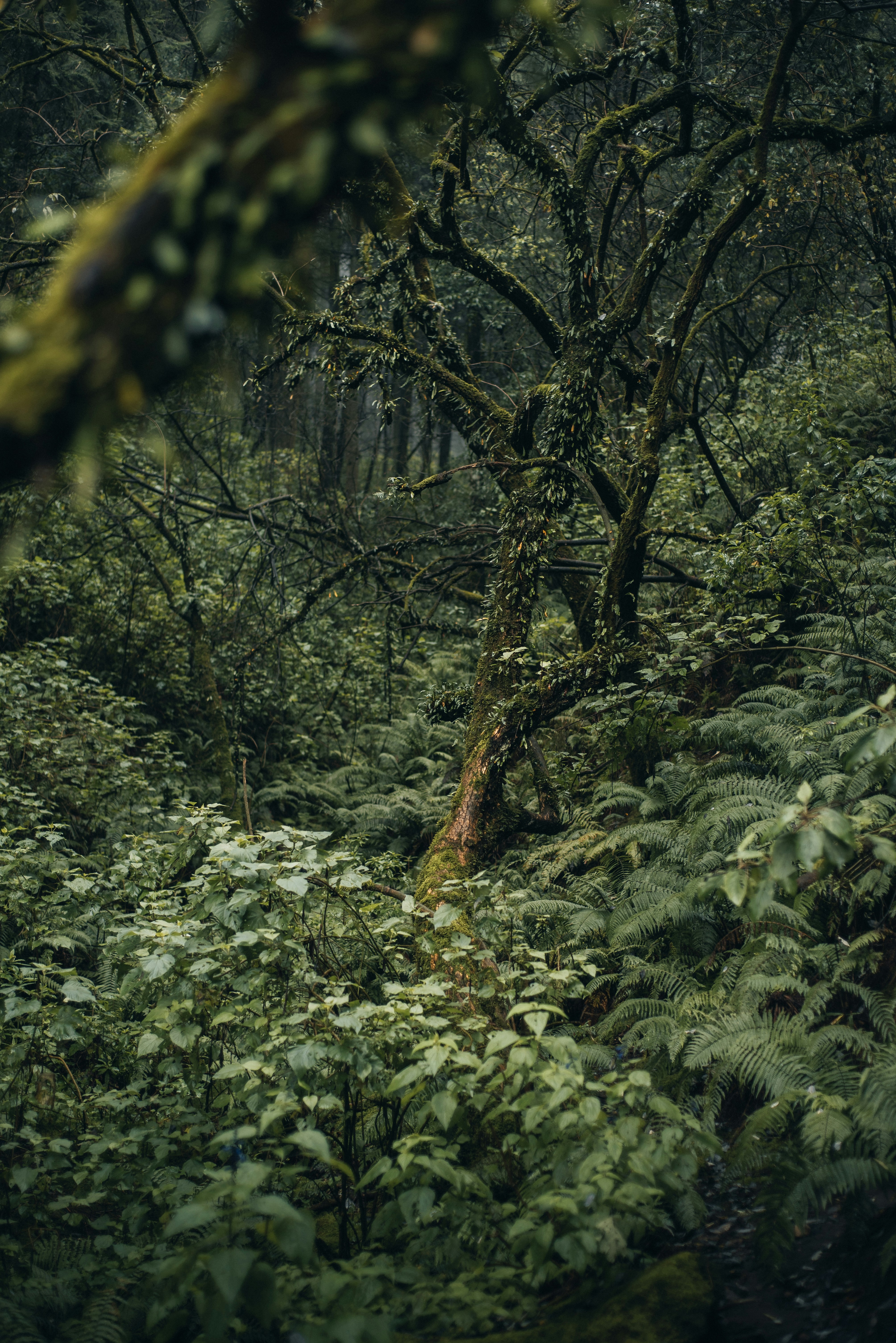 David Theodore (@davidtheodorephotography) | Unsplash Photo Community