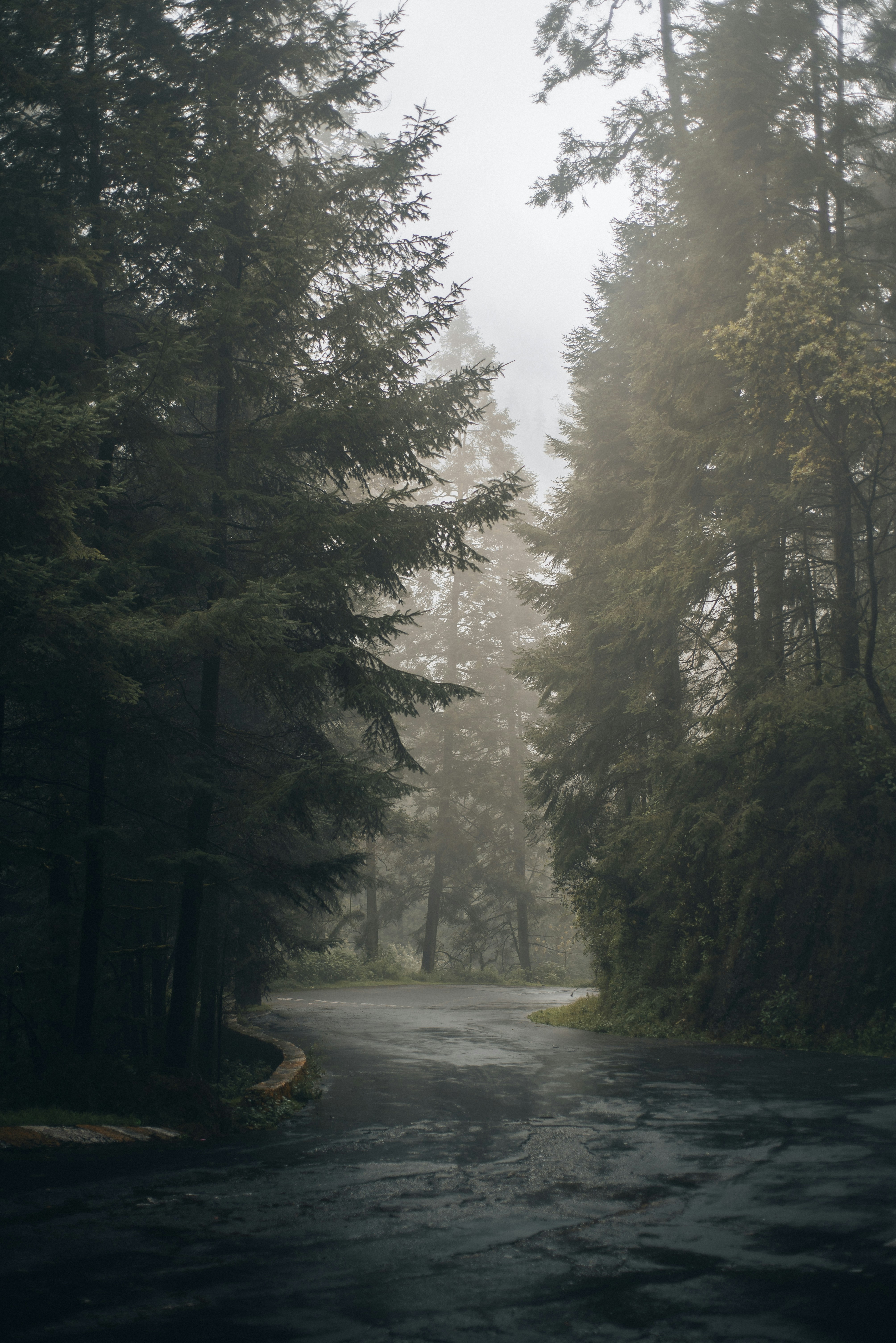 David Theodore (@davidtheodorephotography) | Unsplash Photo Community