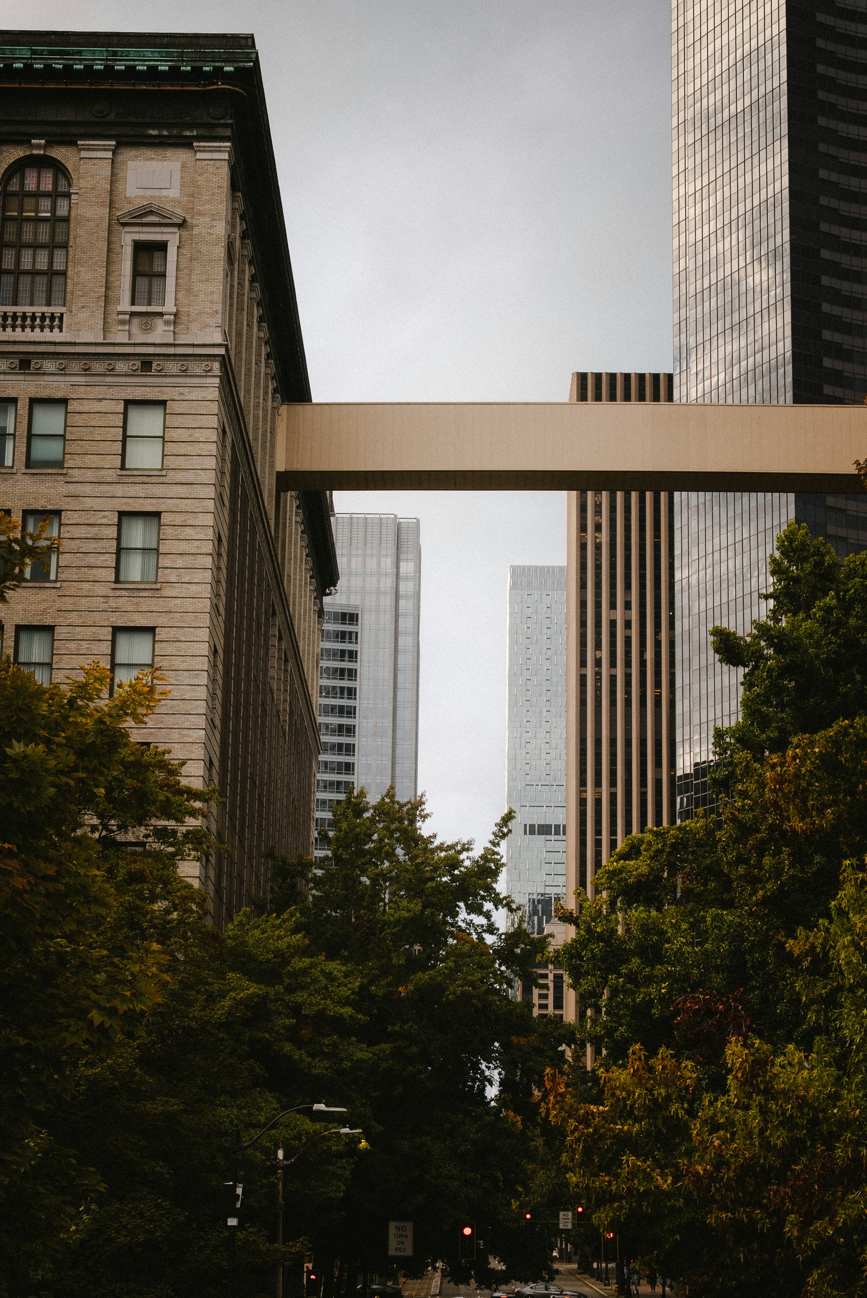 Urban Canopy: A Bridge Between Eras