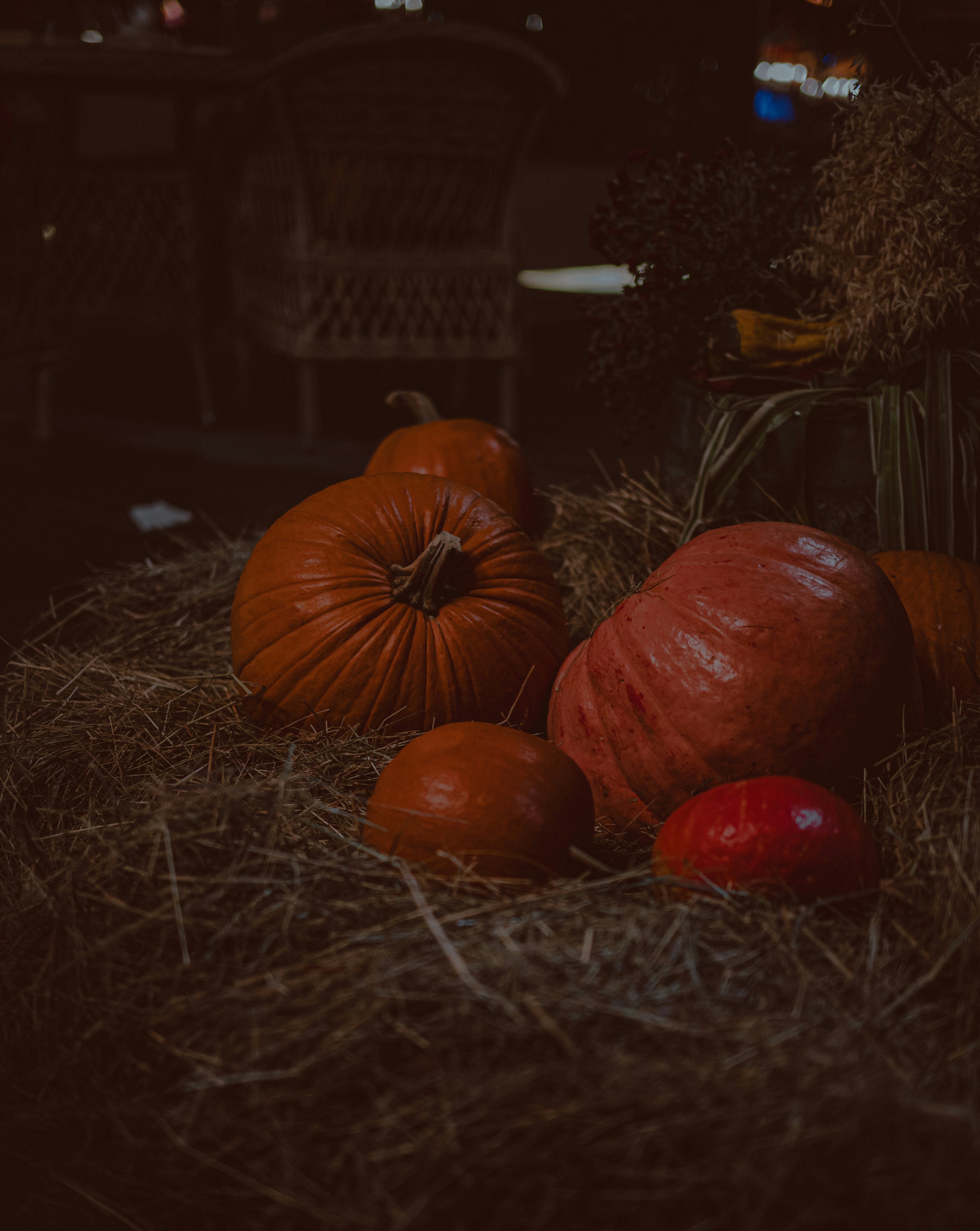 Harvest in the Shadows: A Quiet Orange Still-Life