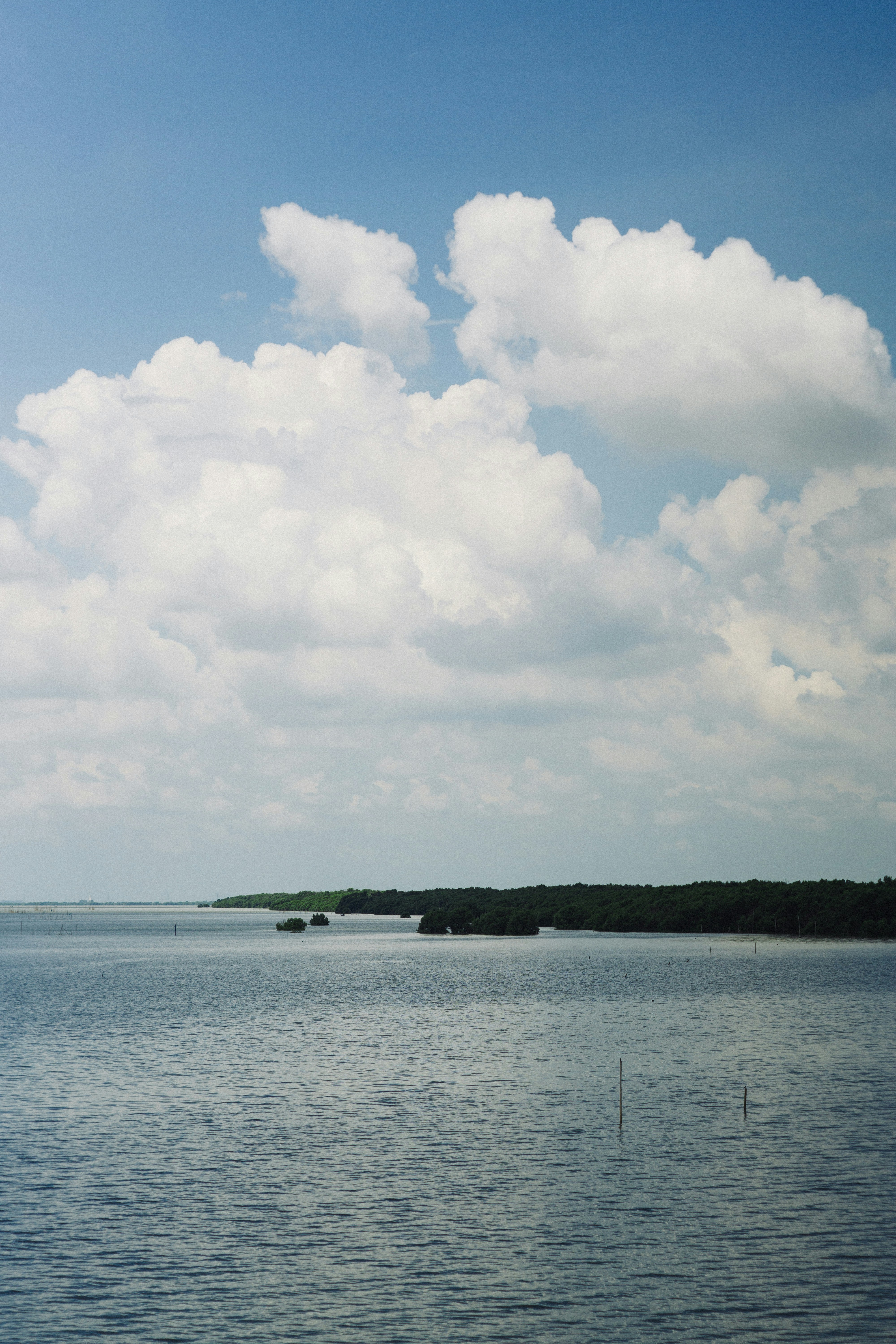 Expansive view of calm waters reflecting fluffy clouds, bordered by lush greenery. Ideal for evoking tranquility.