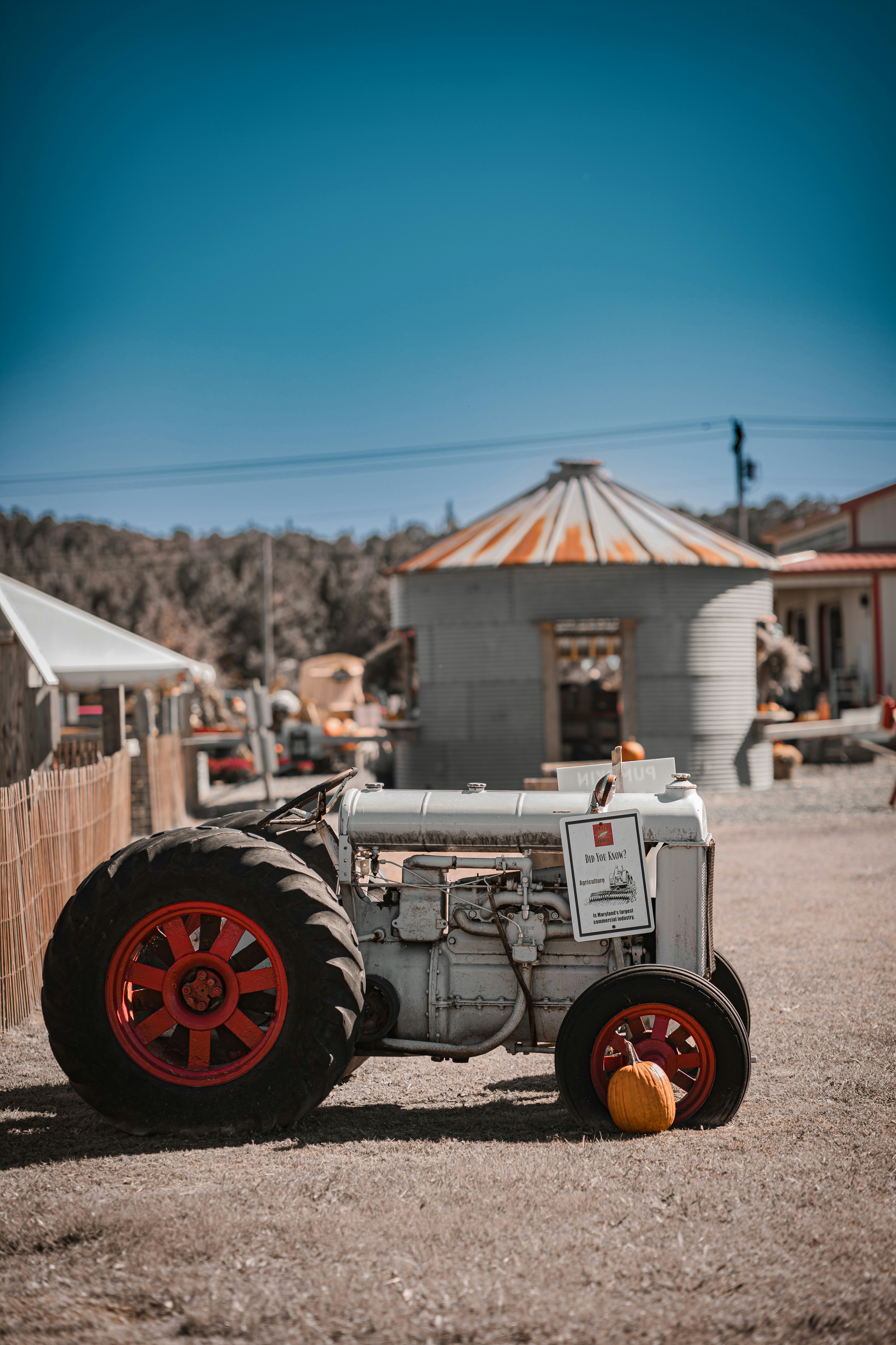 Old Tractor with Red Wheels Anchors a Sun-Burnished Farm Fair